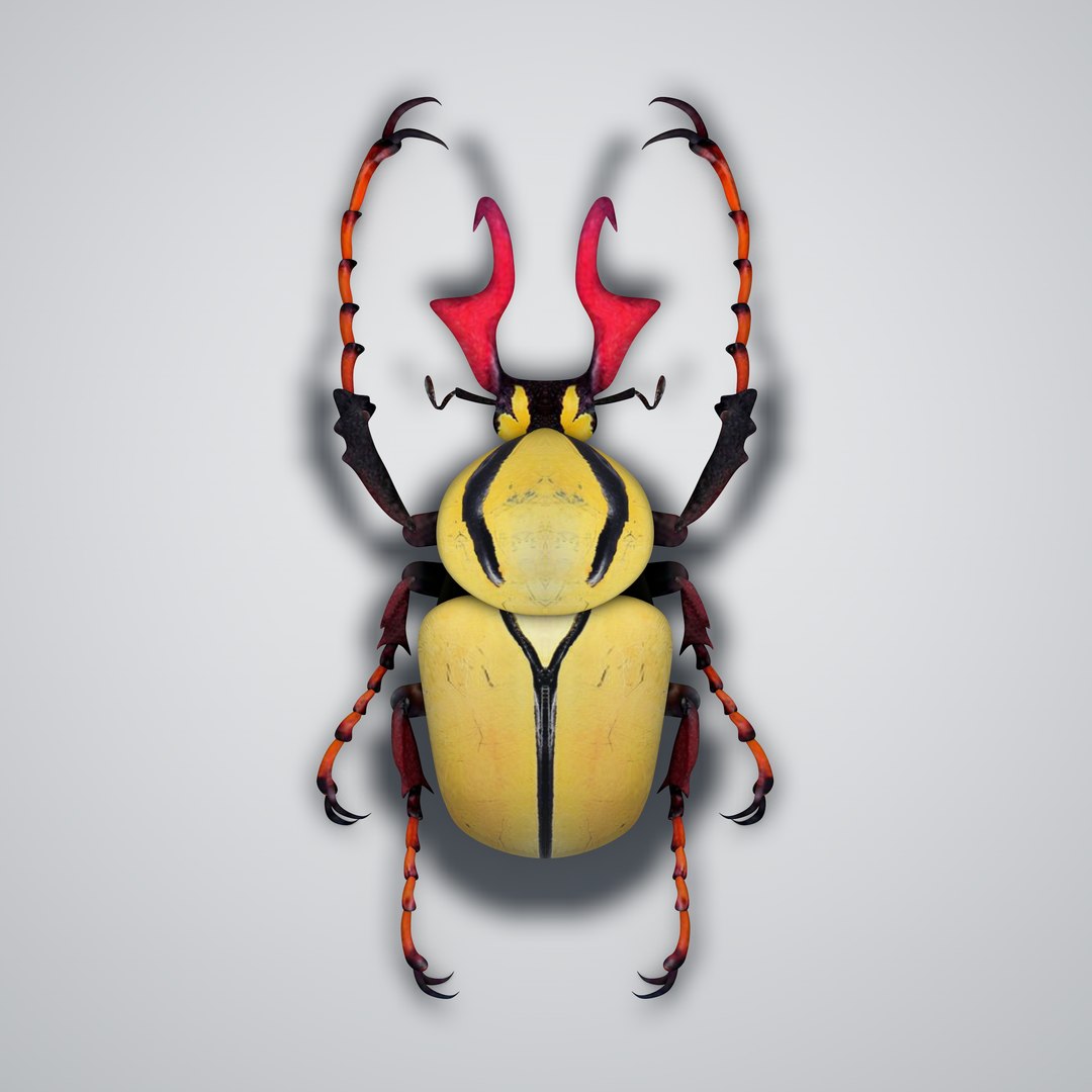 3D Beetle Model - TurboSquid 1226214