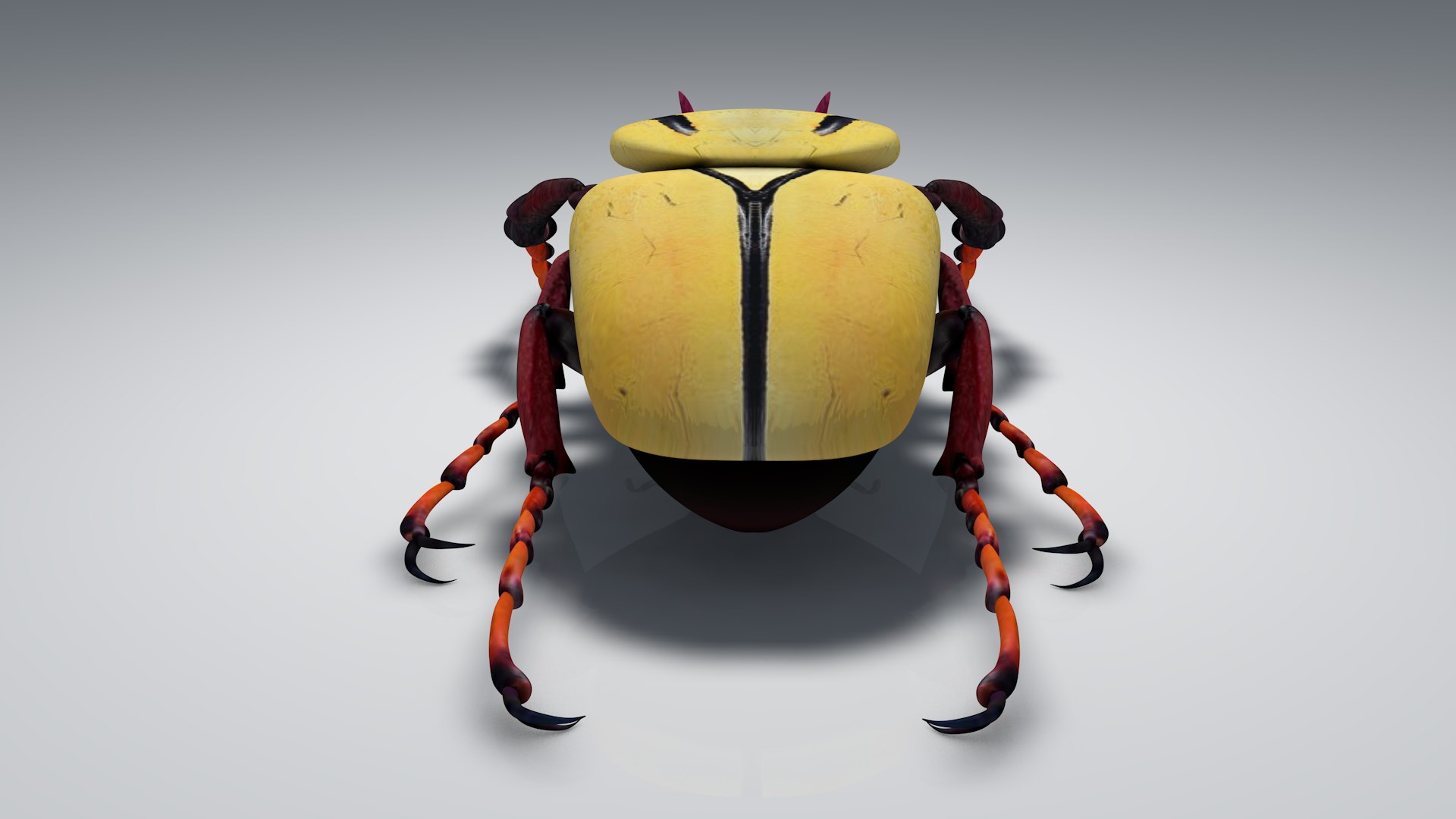 3D Beetle Model - TurboSquid 1226214
