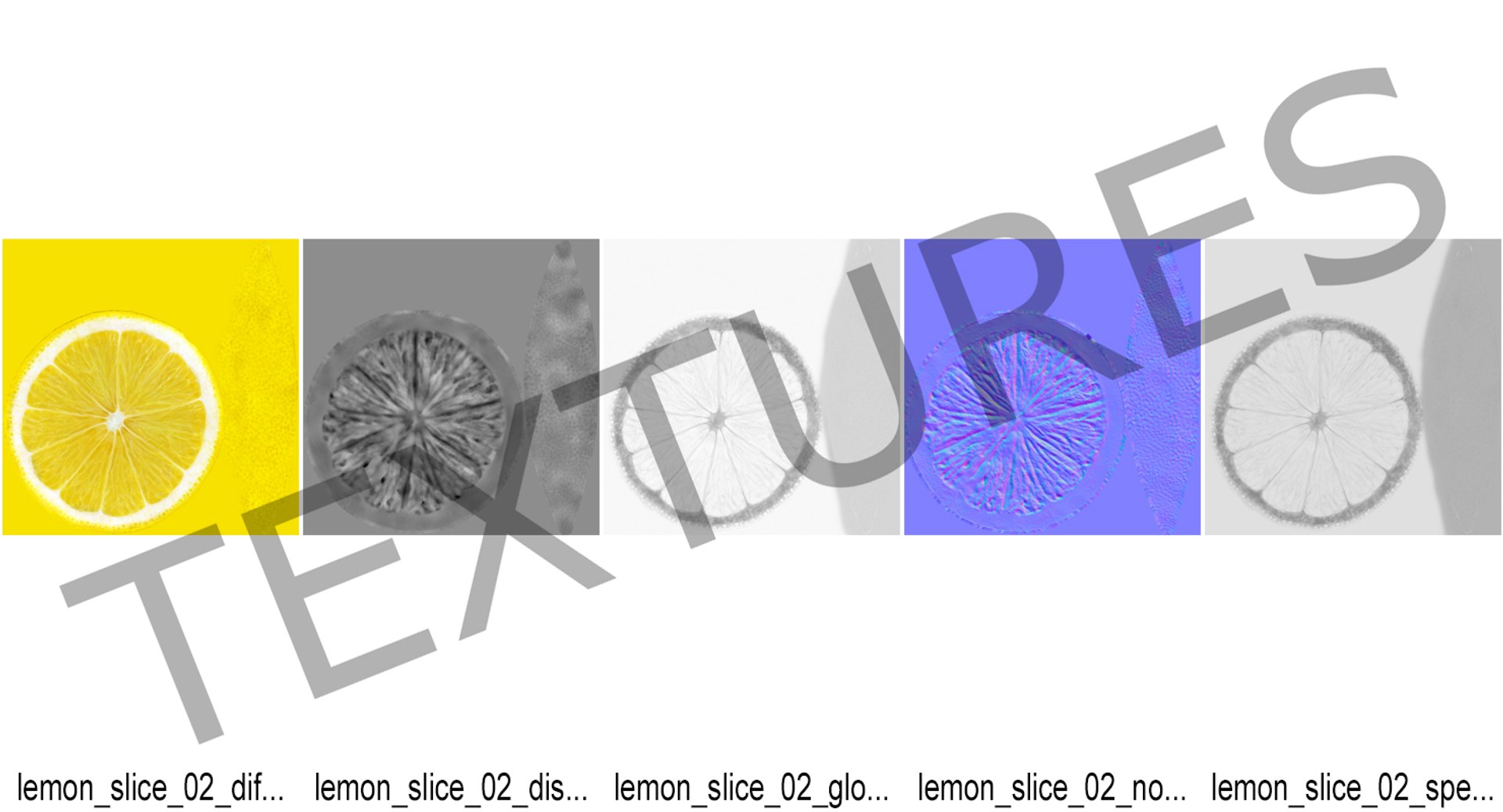3D Lemon Slice Model - TurboSquid 1225618