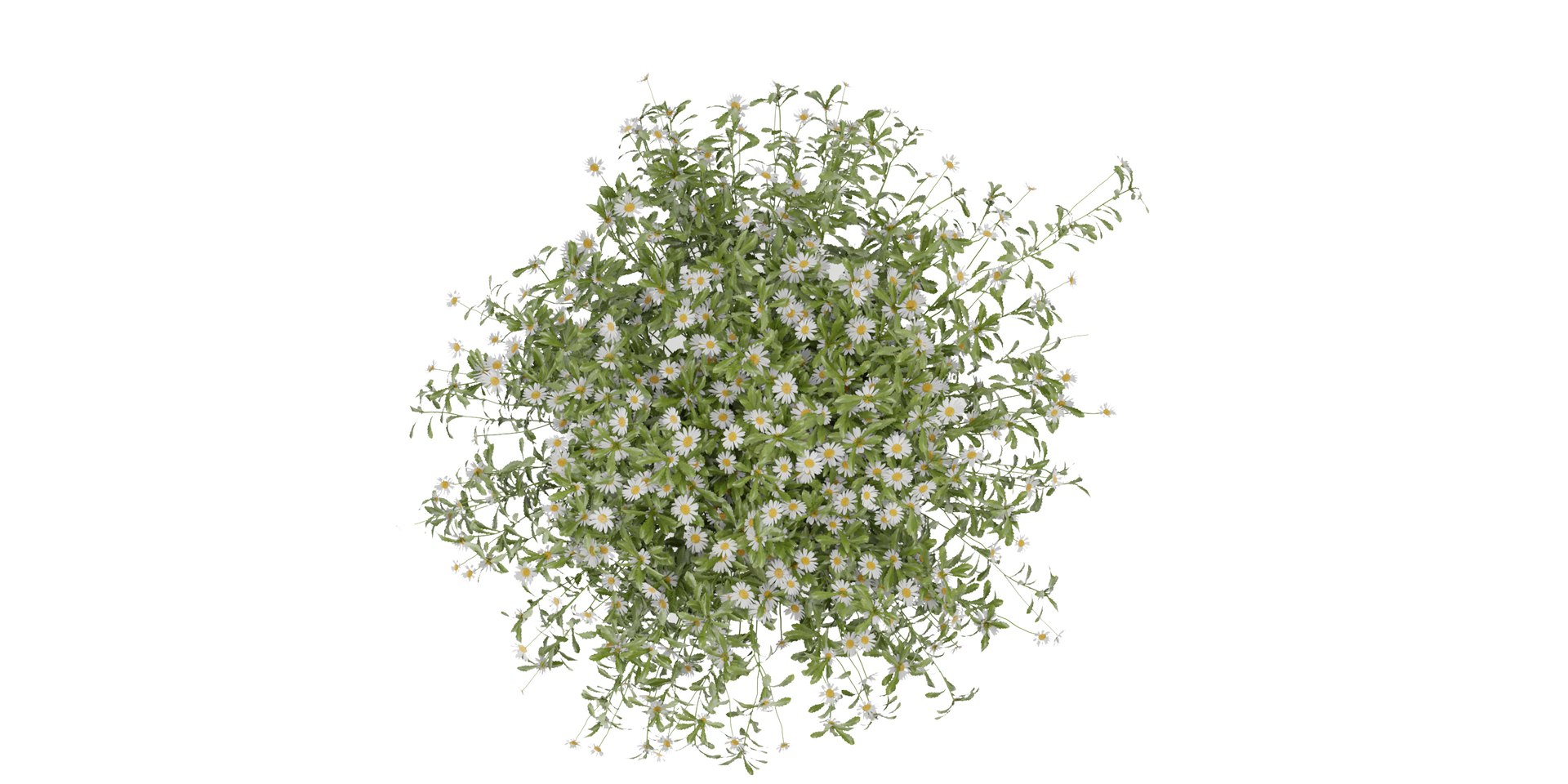 3D Collection plant vol 377 - blender model - TurboSquid 2095058