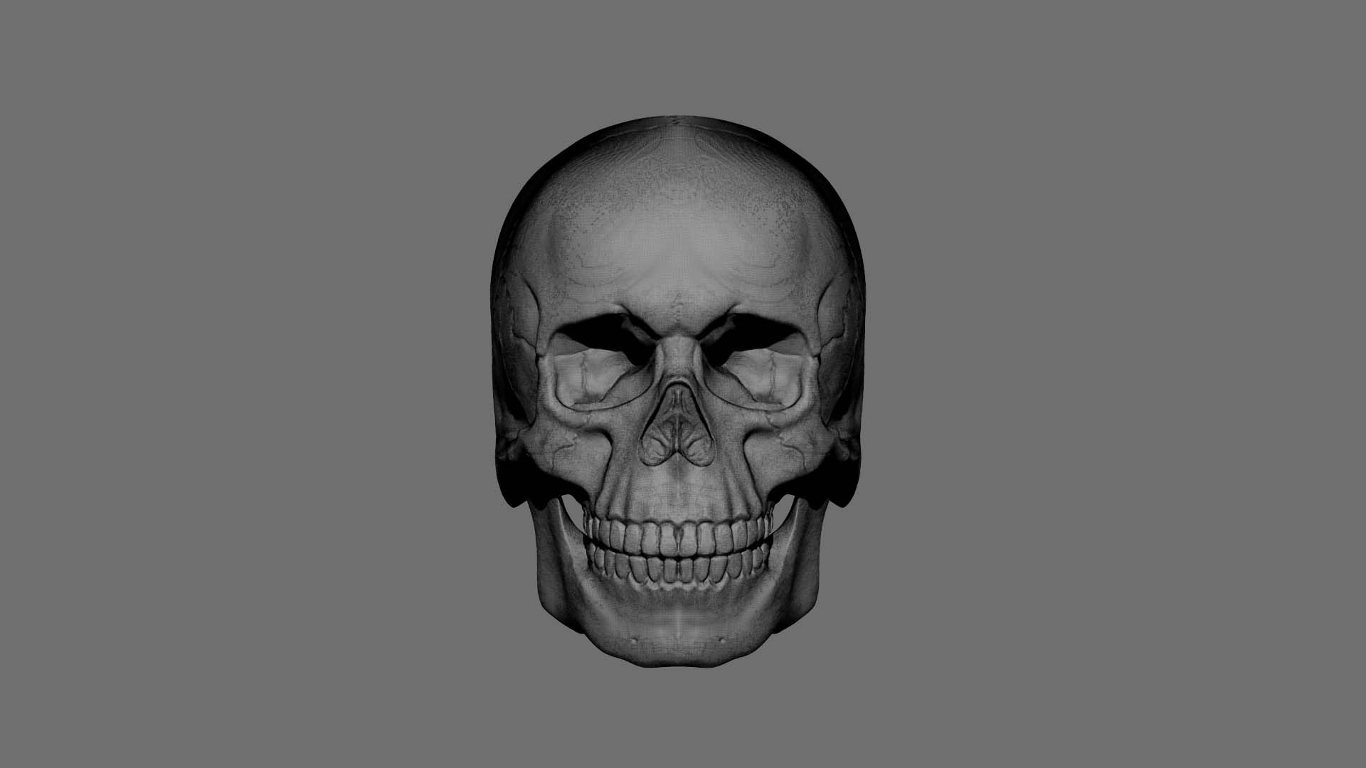 Free Human Skull Model - TurboSquid 2231020