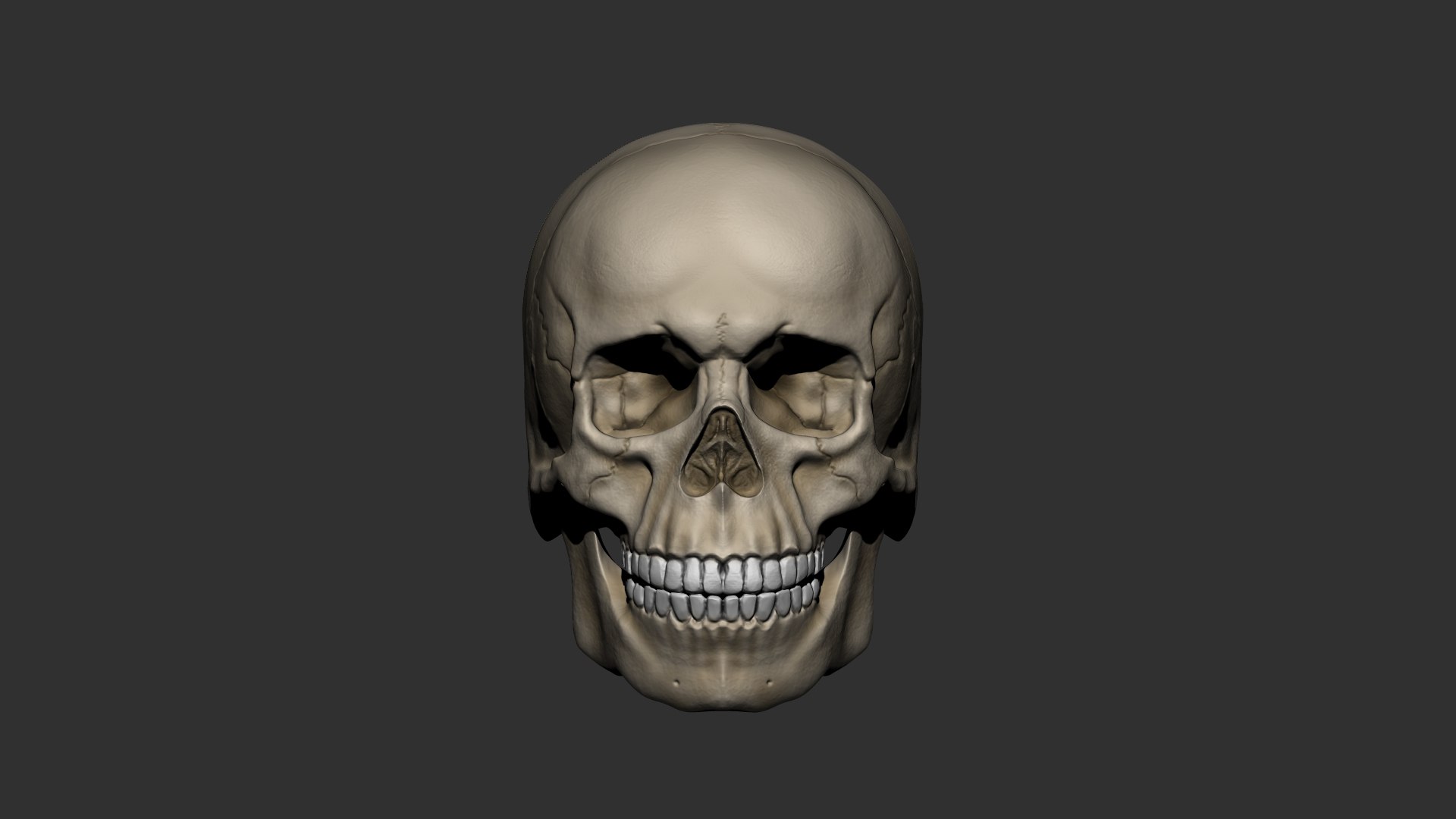 Free Human Skull Model - TurboSquid 2231020