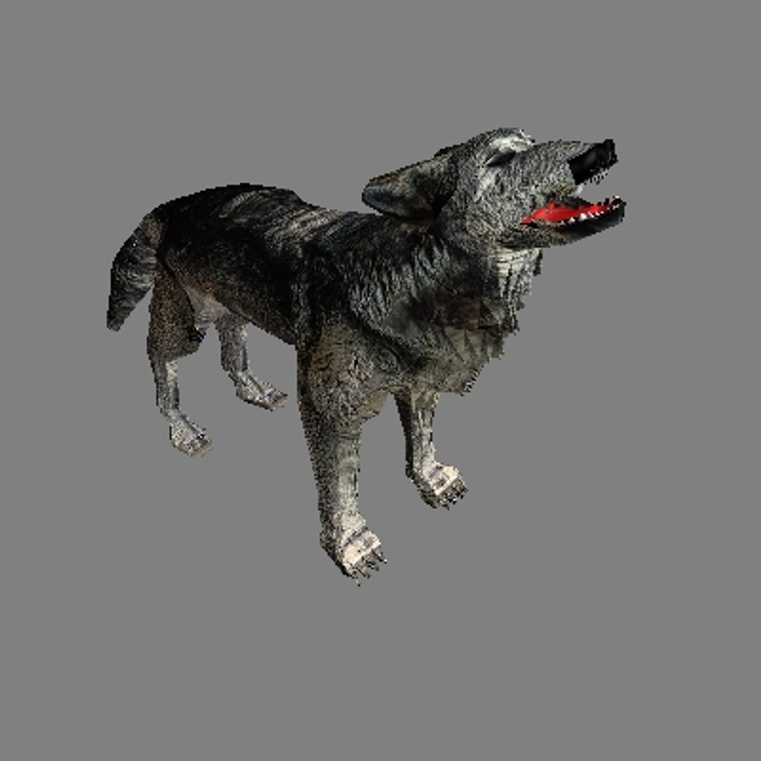Wolf Dog Cob