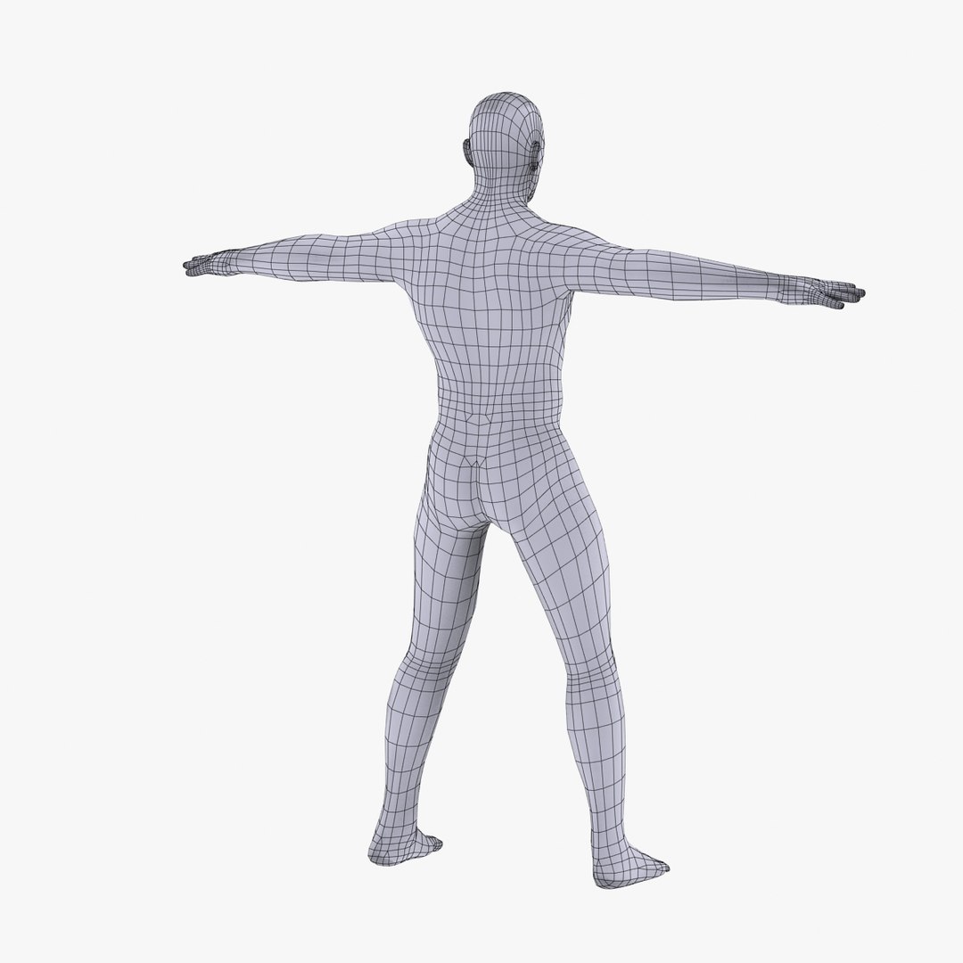 human base 3d model