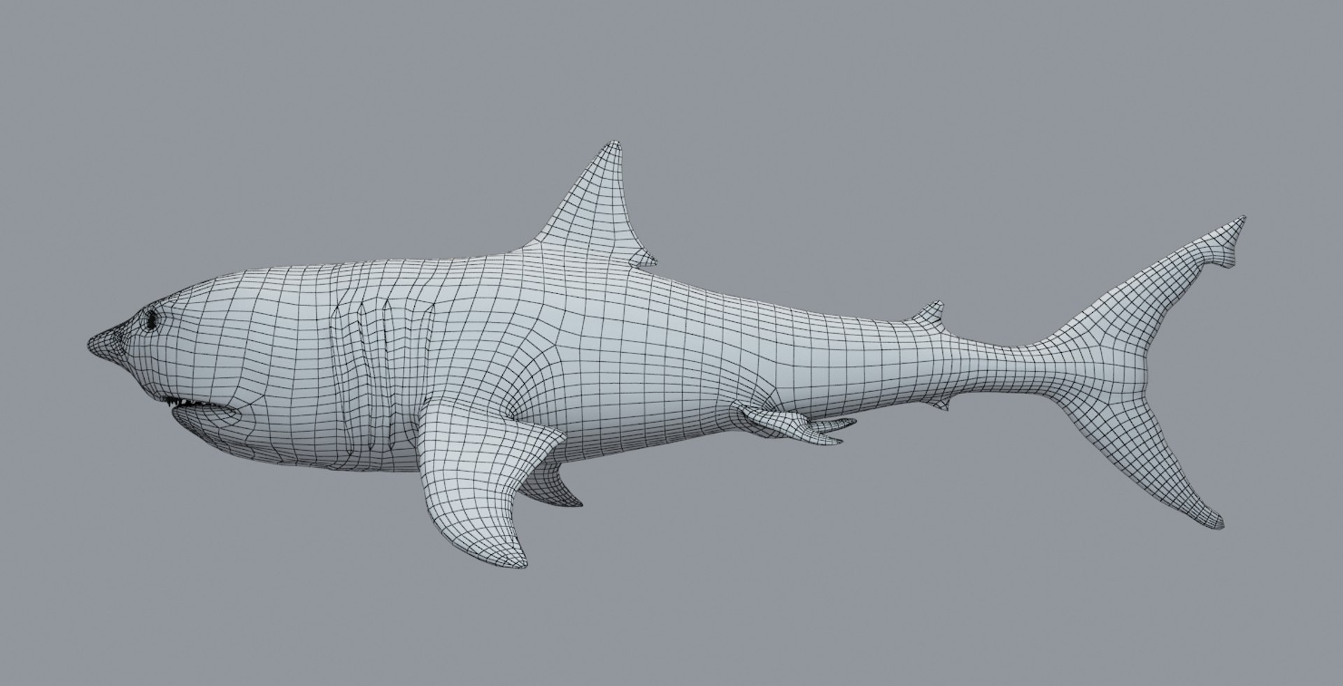 Modeled rigged shark model - TurboSquid 1302224