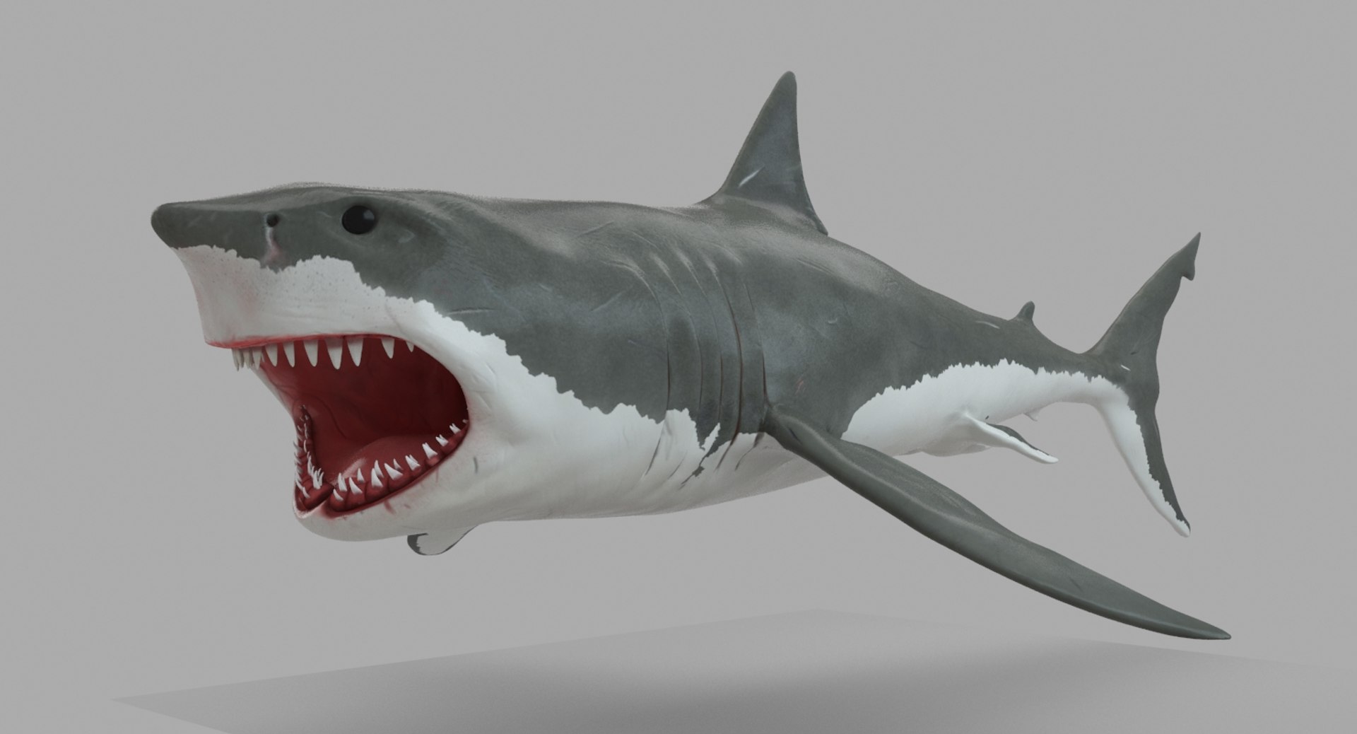 Modeled Rigged Shark Model - TurboSquid 1302224