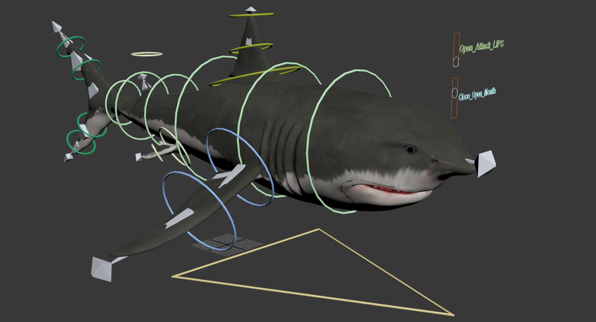 Modeled Rigged Shark Model - TurboSquid 1302224