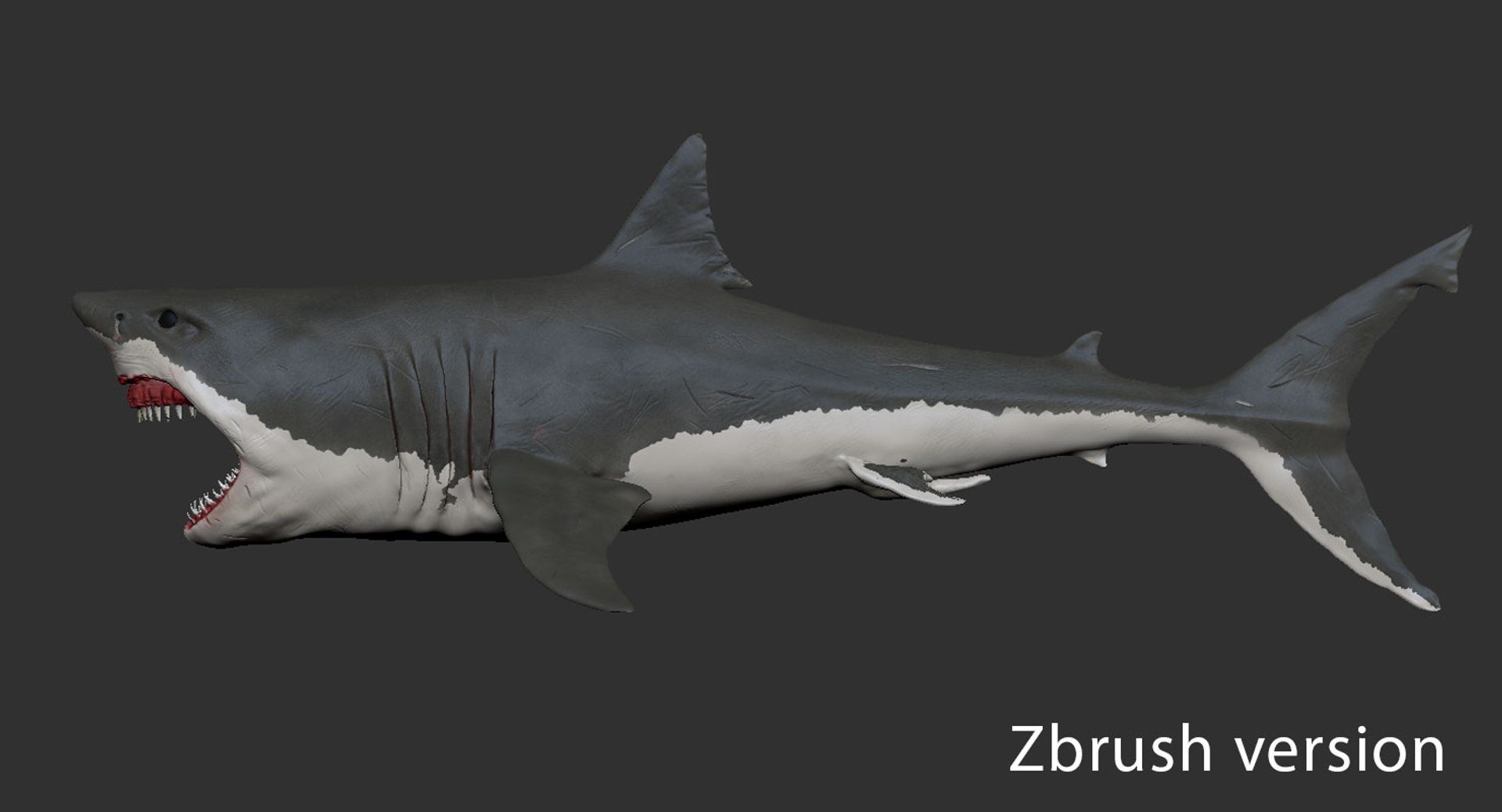 Modeled rigged shark model - TurboSquid 1302224