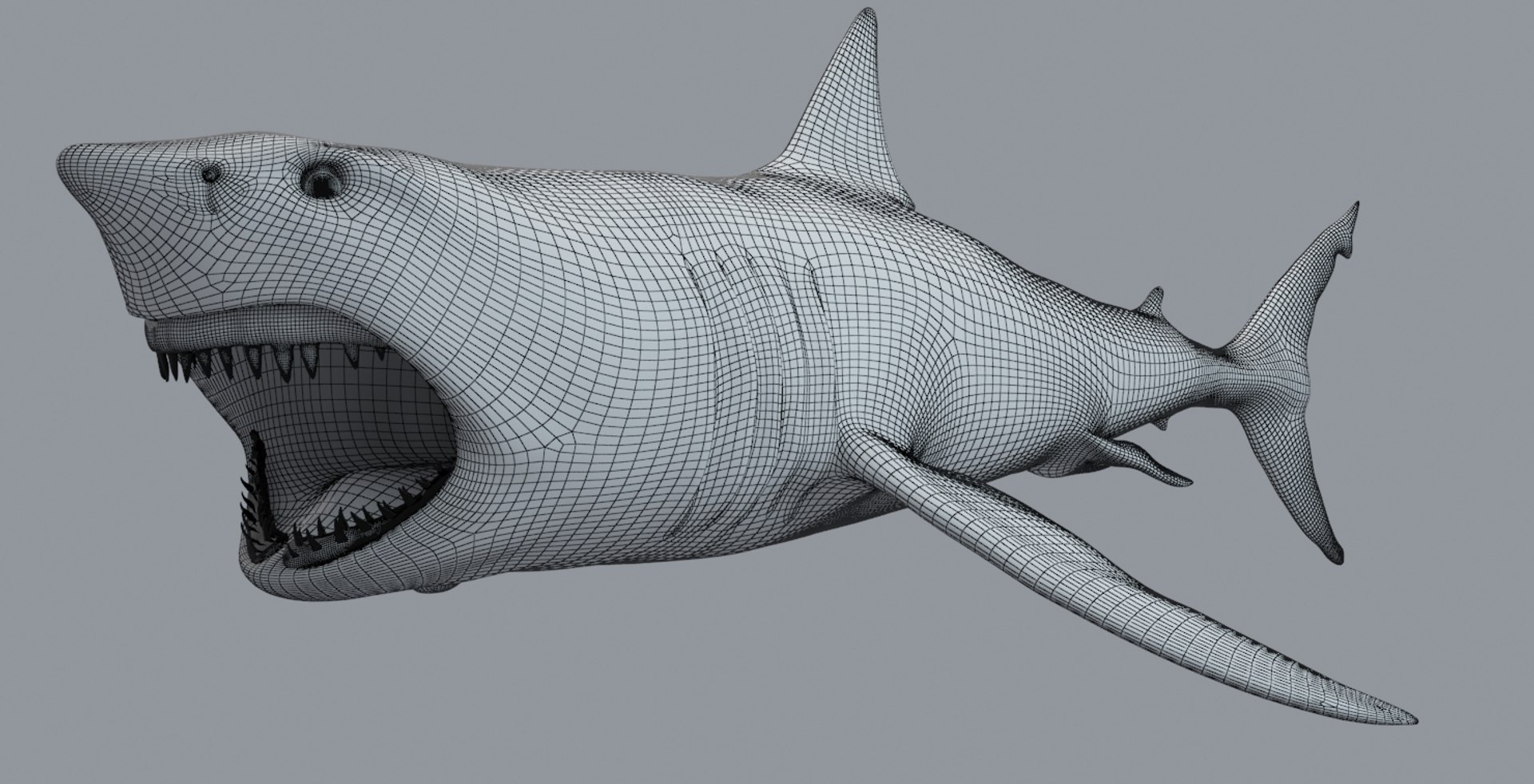 Modeled rigged shark model - TurboSquid 1302224
