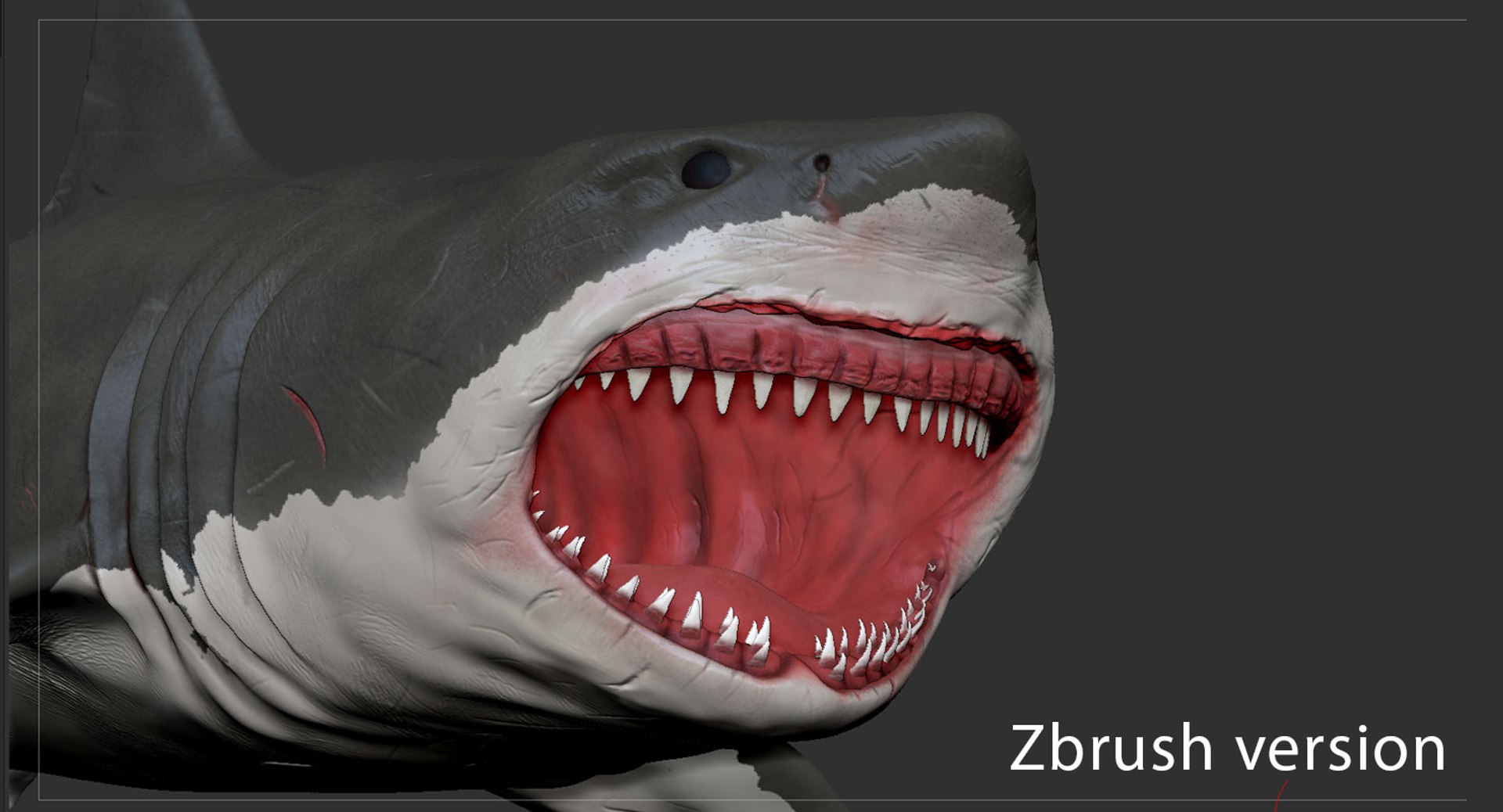 Modeled rigged shark model - TurboSquid 1302224