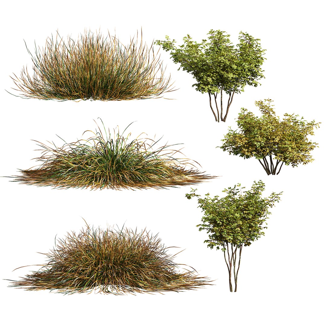 3D Fall Bush-6 Different Bush - TurboSquid 2149991