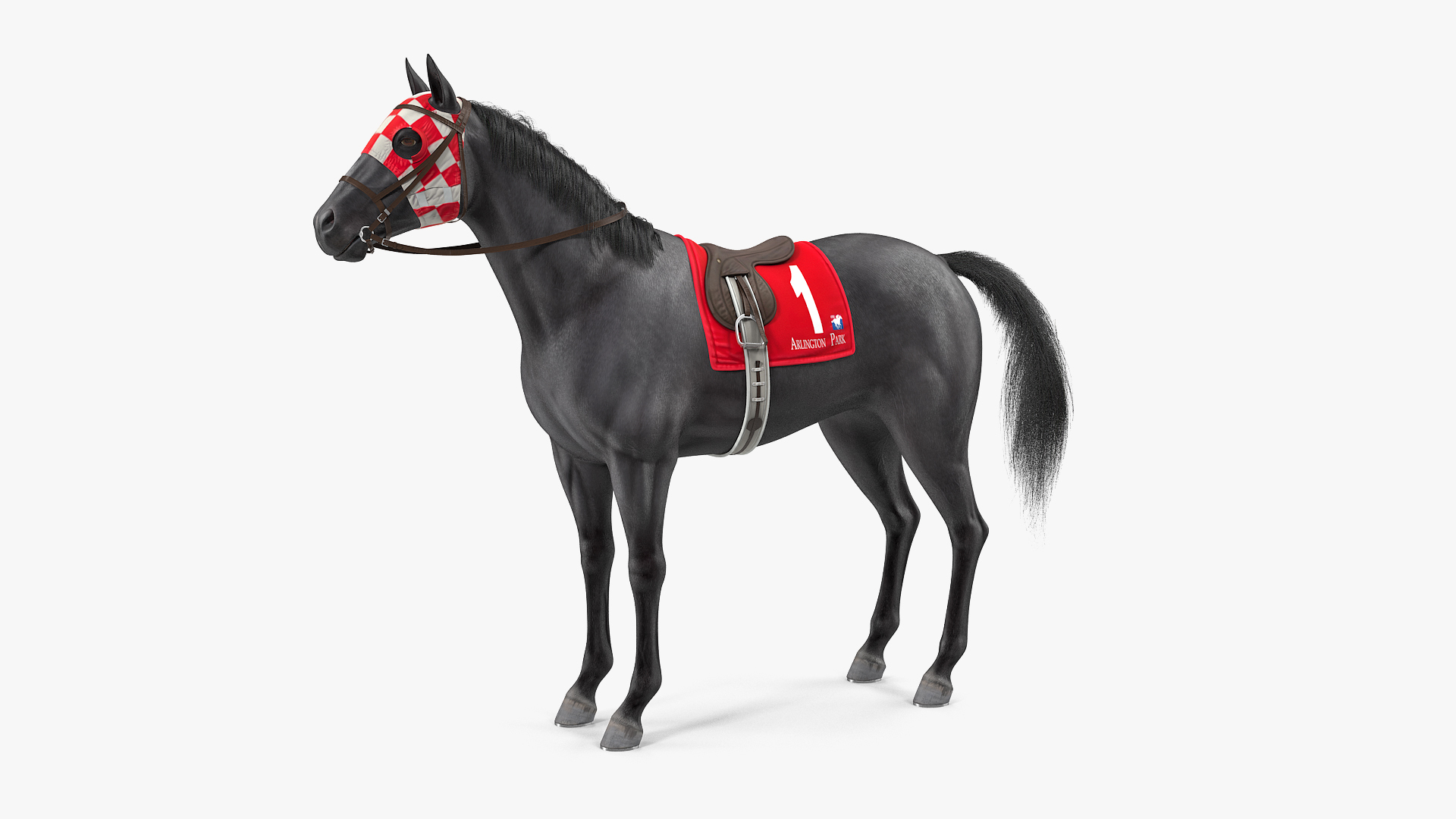 Black Racing Horse Animal 3D Model - TurboSquid 1453204