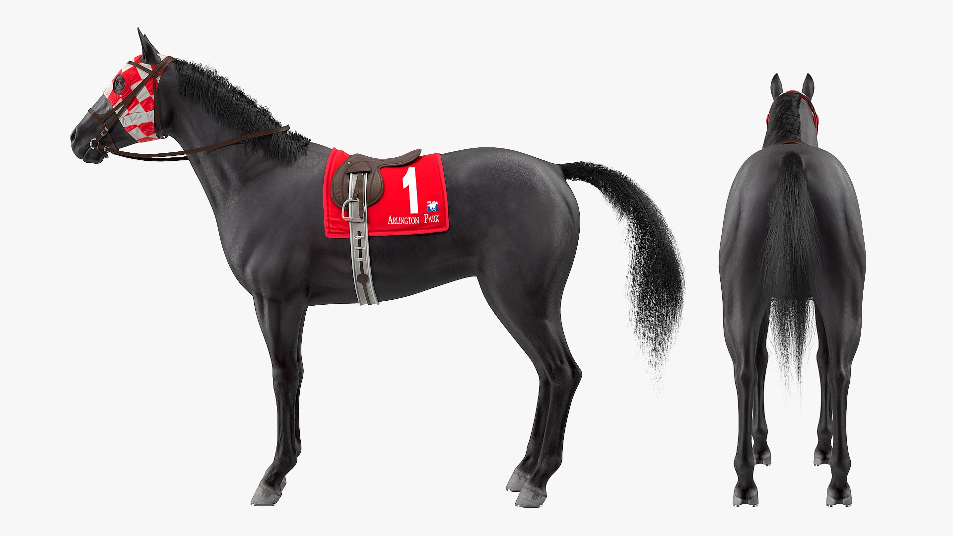 Black Racing Horse Animal 3D Model - TurboSquid 1453204