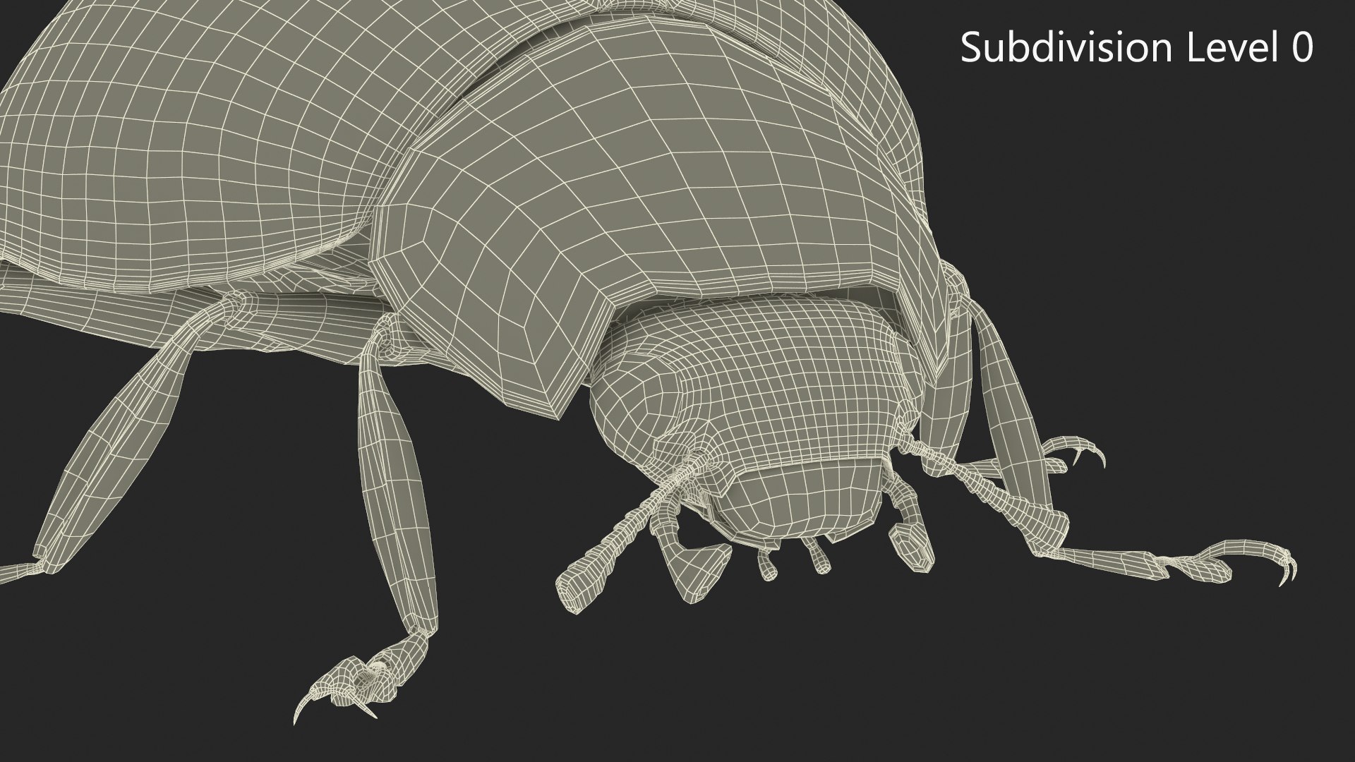 Realistic Ladybug Insect With Fur 3D - TurboSquid 2326785