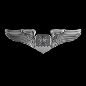 3d model air force pilot badge