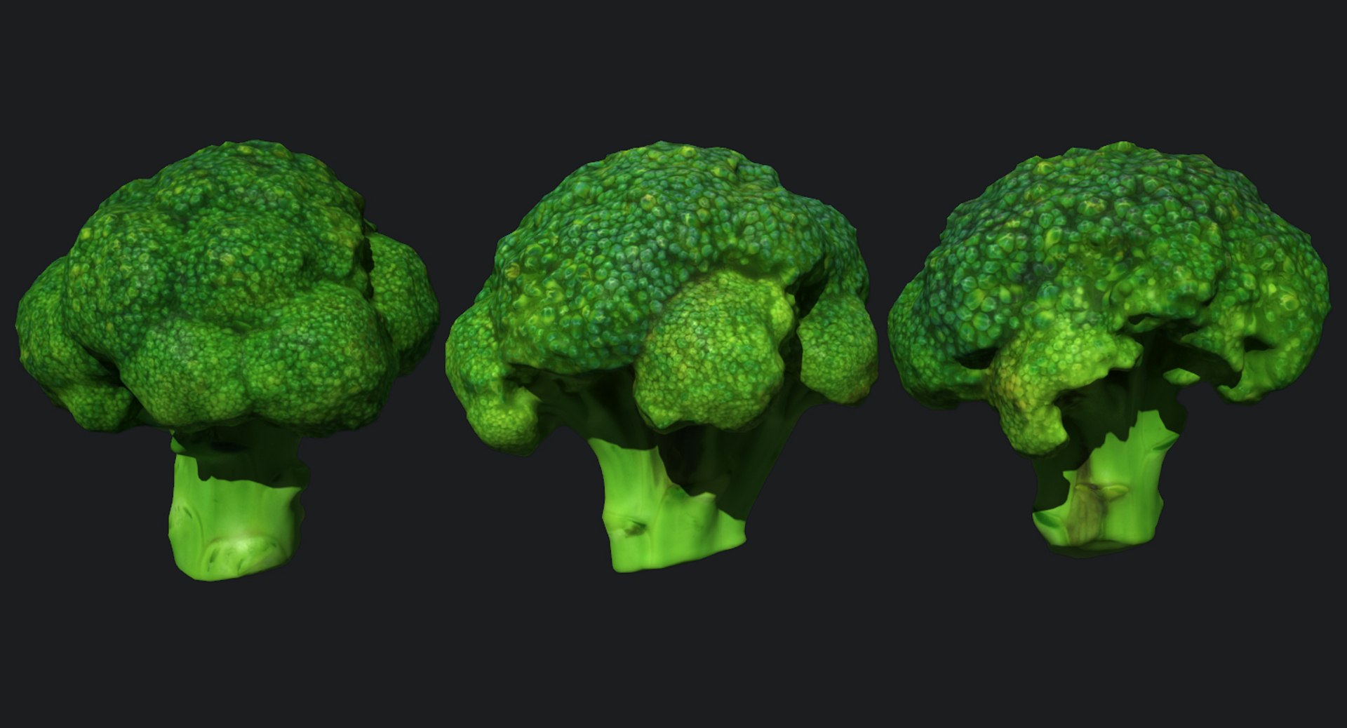 3D broccoli scan model | 1142472 | TurboSquid