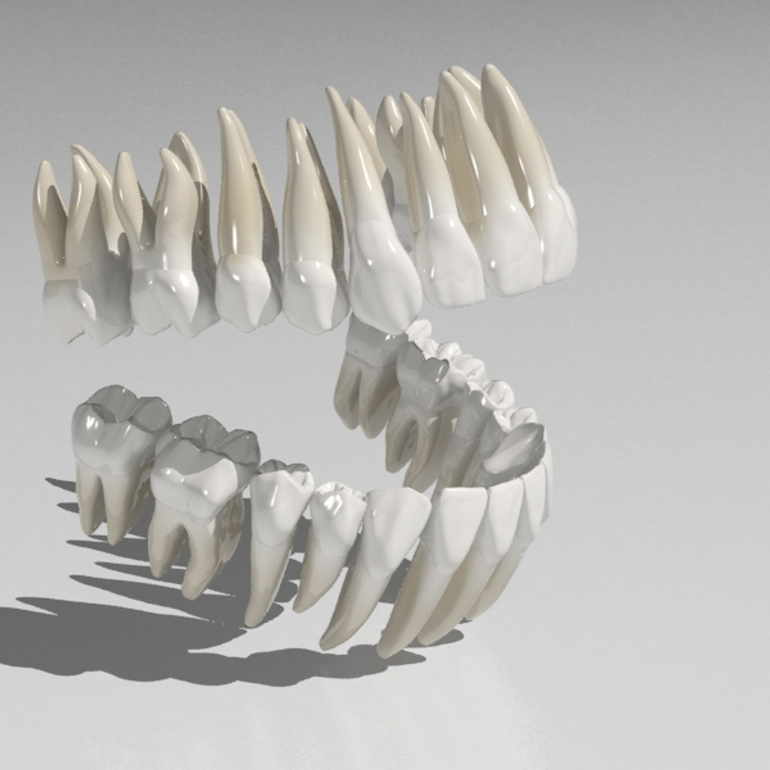 3dsmax teeth