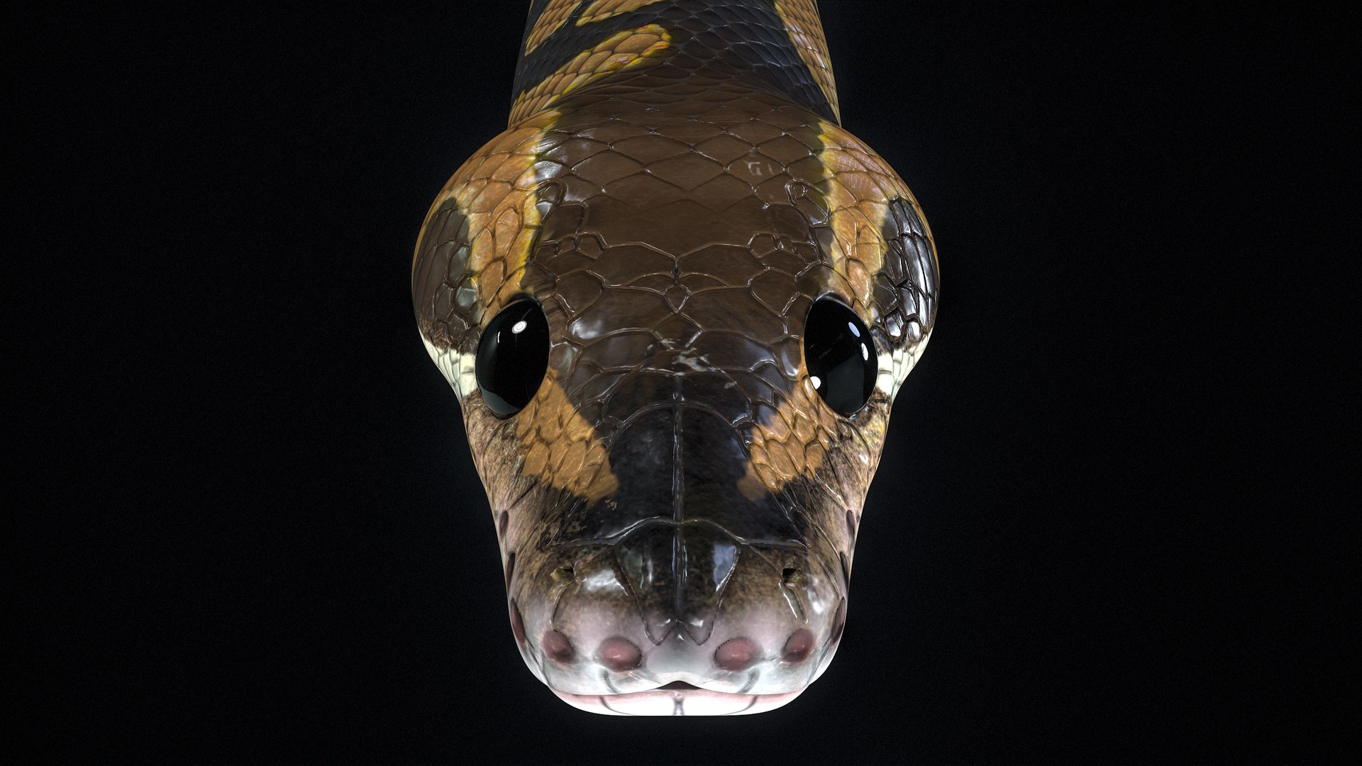 Ball Python Snake PBR 3D Model - TurboSquid 2199503