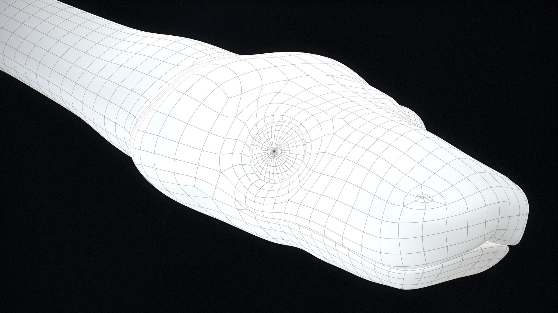 Ball Python Snake PBR 3D Model - TurboSquid 2199503