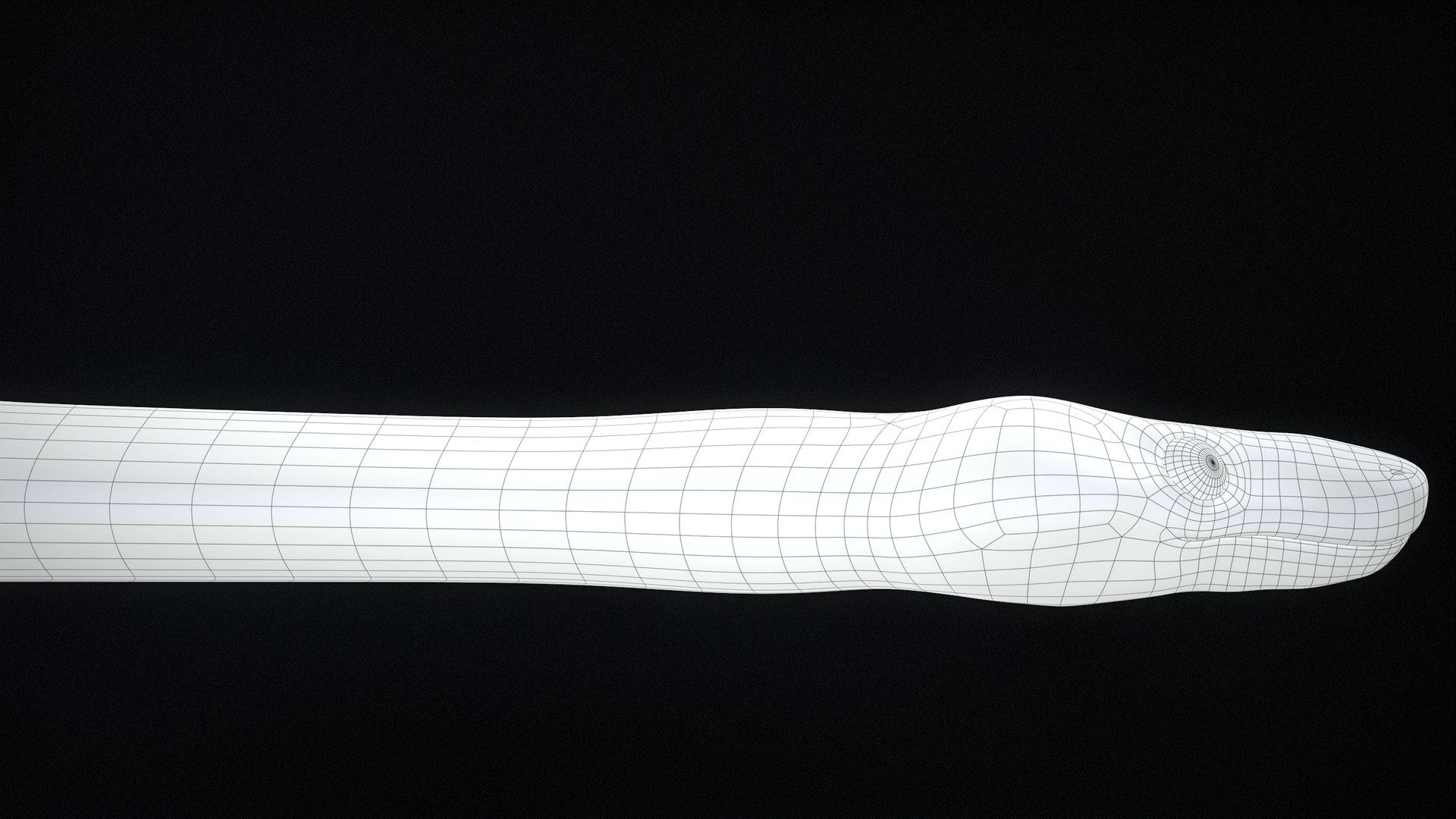 Ball Python Snake PBR 3D Model - TurboSquid 2199503