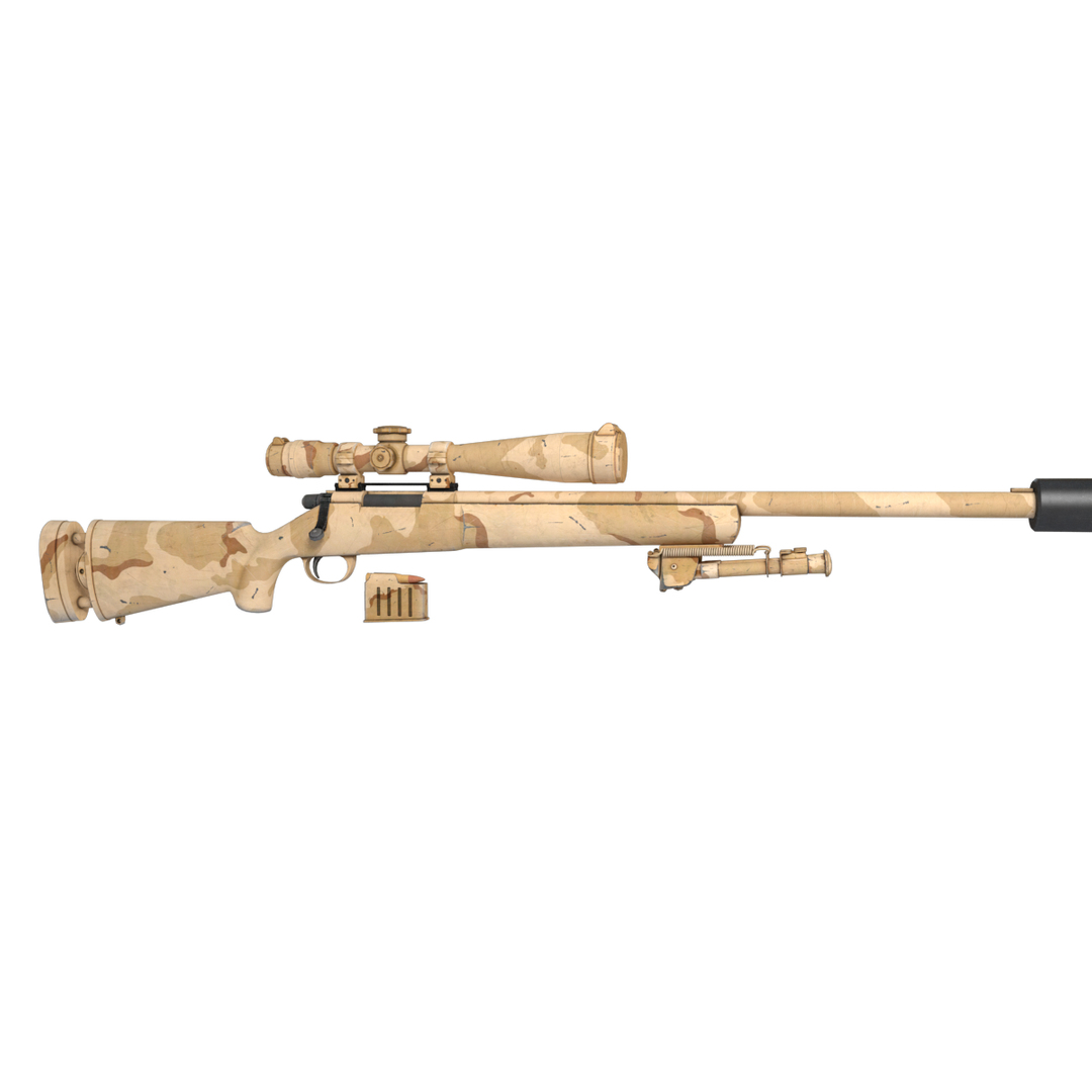 3d Rigged M24