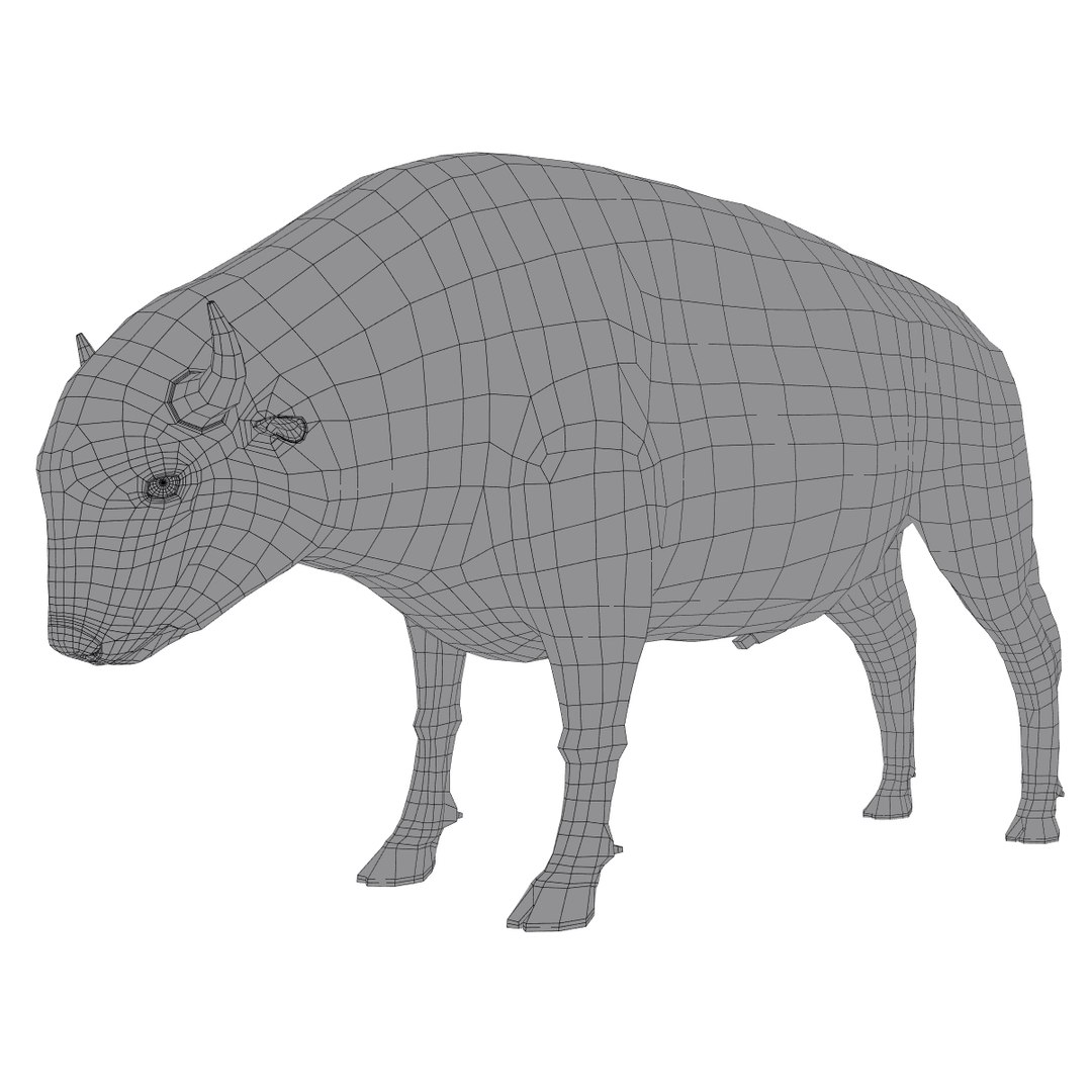American buffalo animation model | 1147781 | TurboSquid