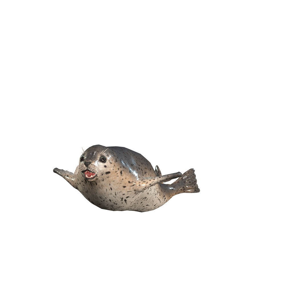 3D Fish SEAL SEA LION SEA SEAL - TurboSquid 2216906