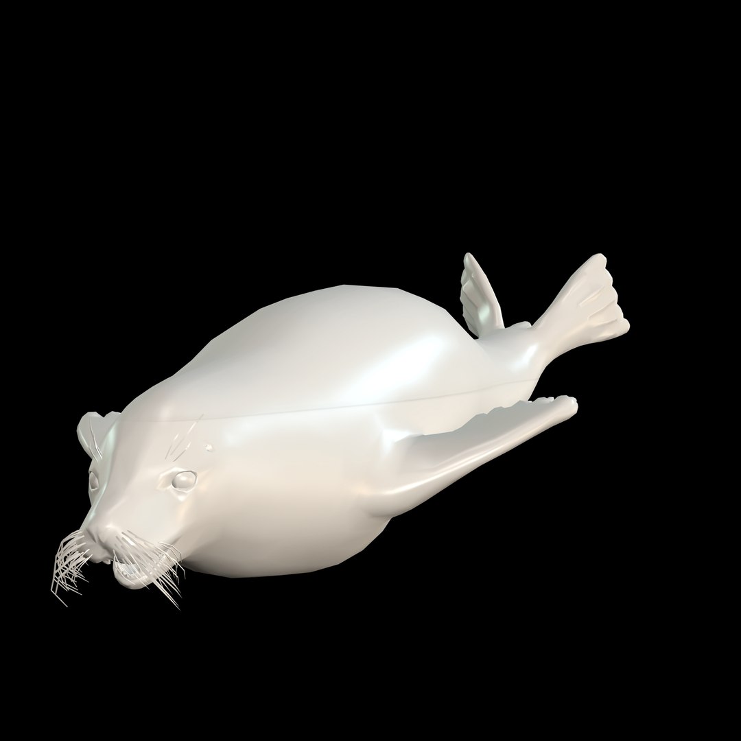 3D Fish SEAL SEA LION SEA SEAL - TurboSquid 2216906