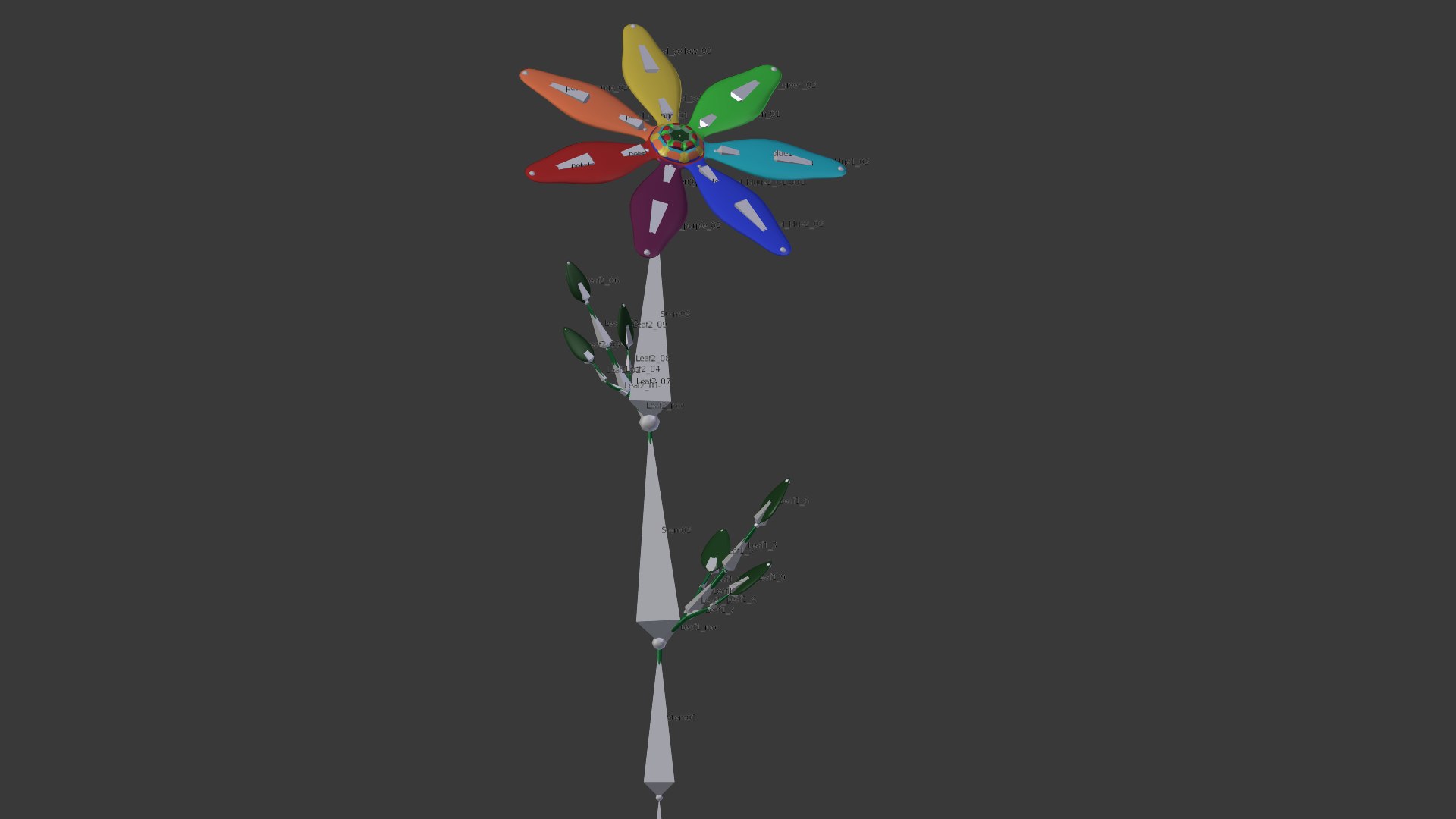 Rainbow Flower 3d Model