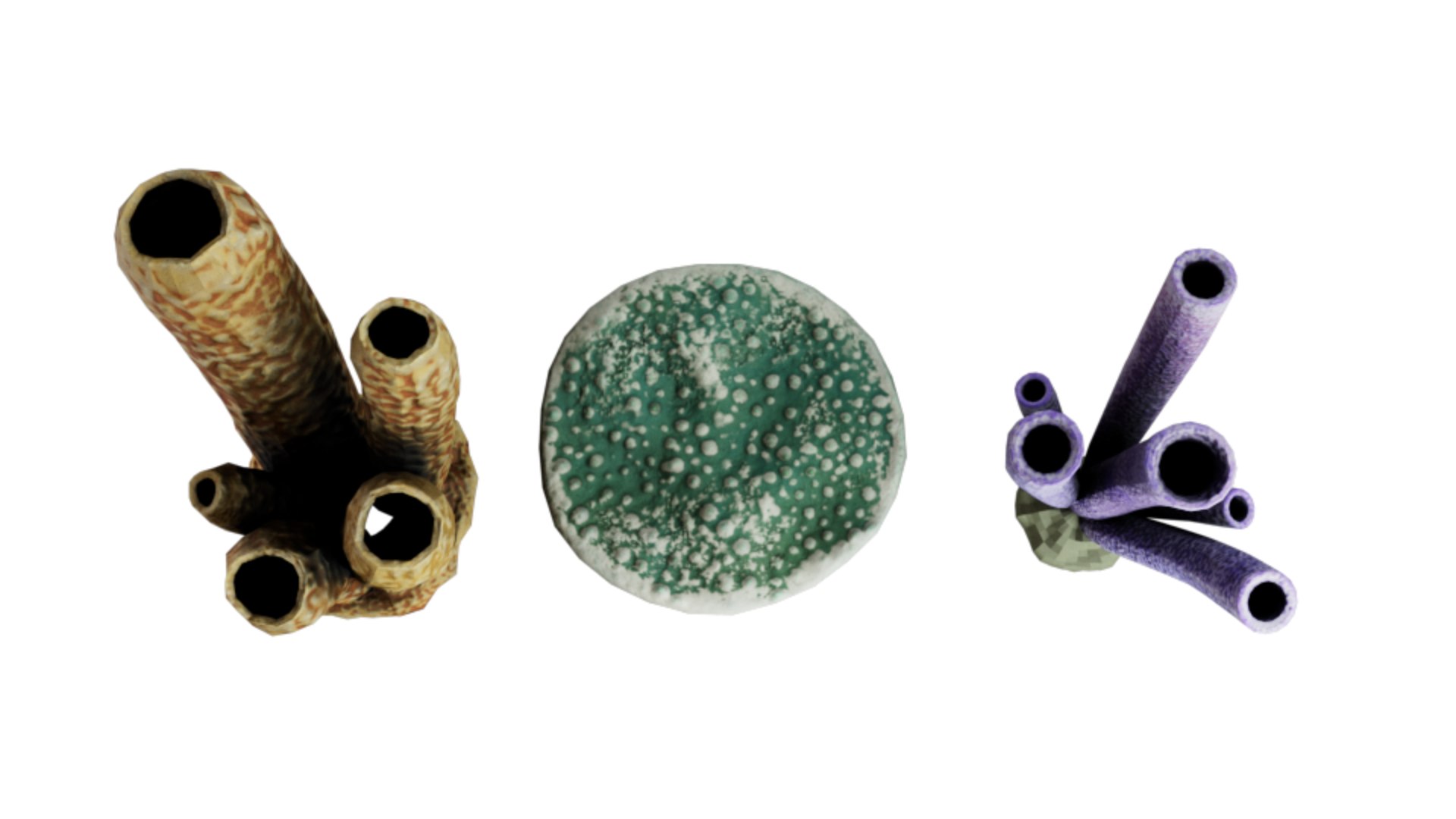 Coral Tubes V02 3D Model - TurboSquid 2382007