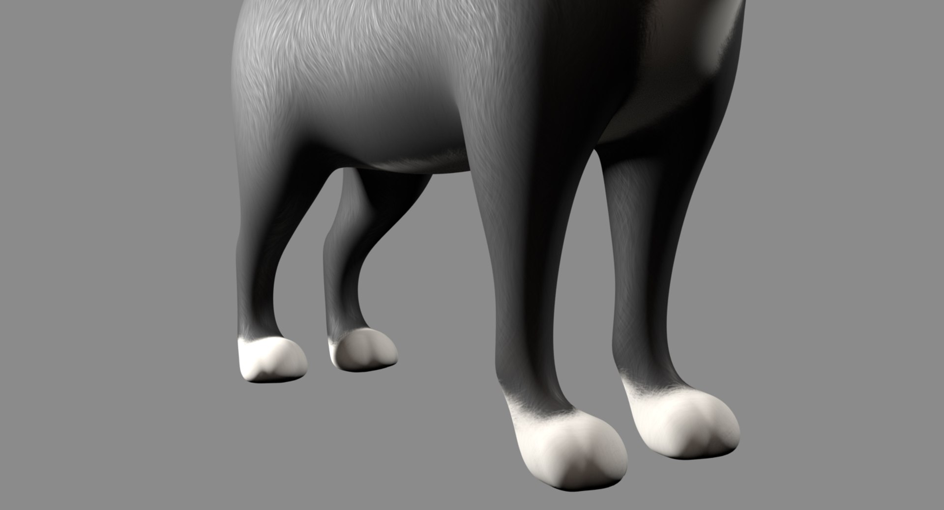 Cartoon Rigged Cat Animation 3D Model - TurboSquid 1399044