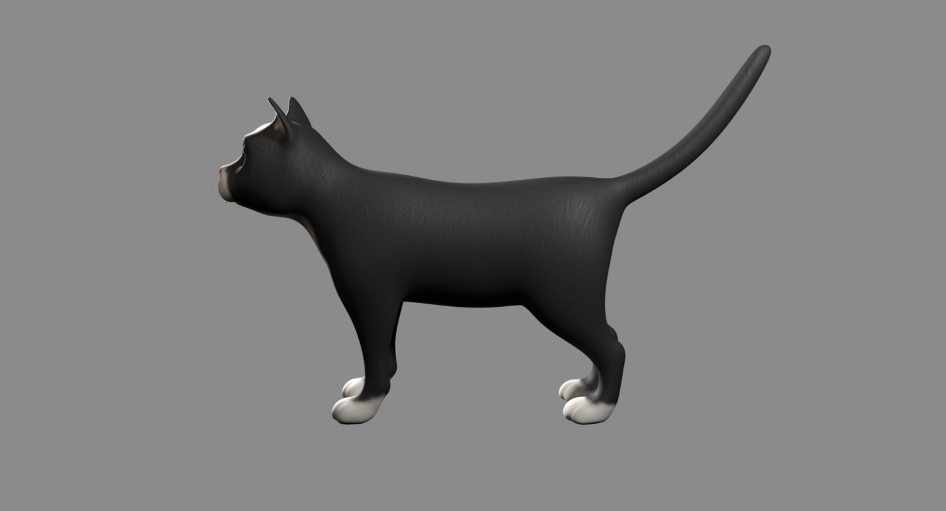 Cartoon Rigged Cat Animation 3D Model - TurboSquid 1399044