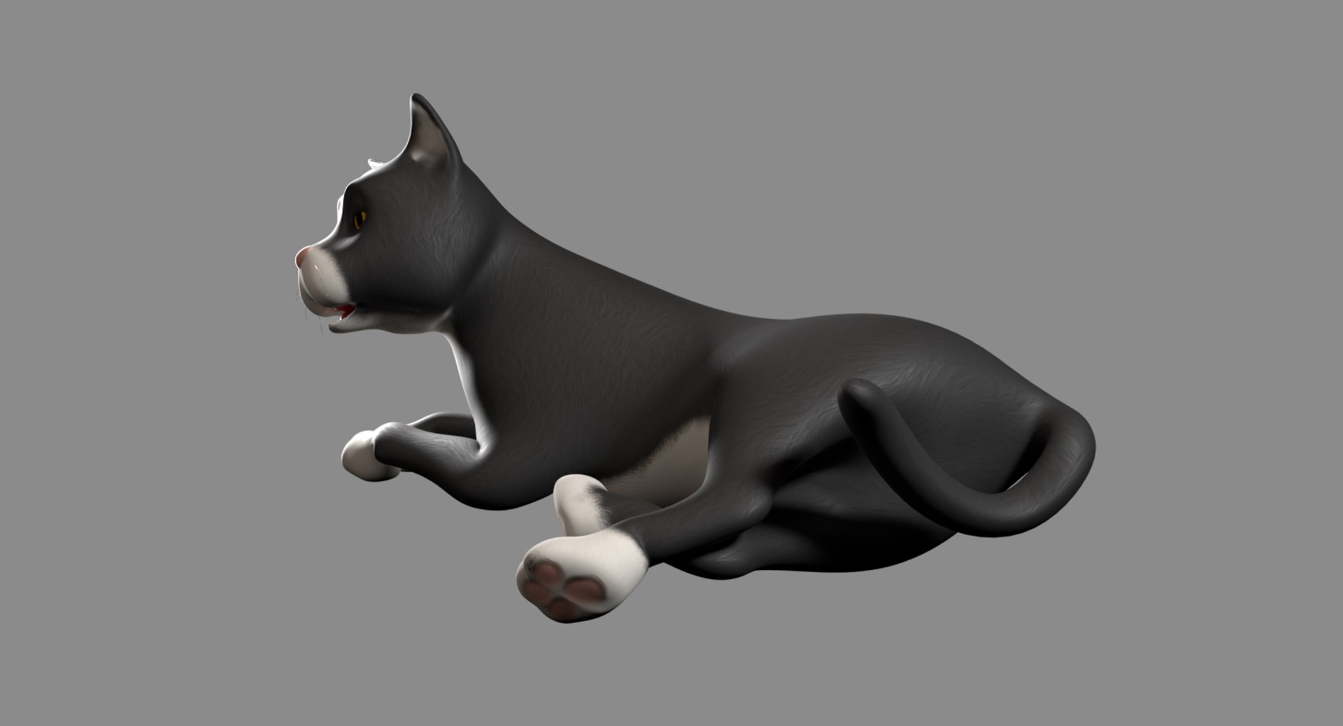 Cartoon Rigged Cat Animation 3D Model - TurboSquid 1399044
