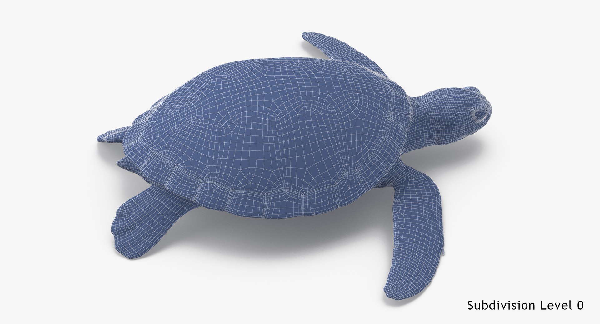 3D model sea turtle stemcell - TurboSquid 1182566