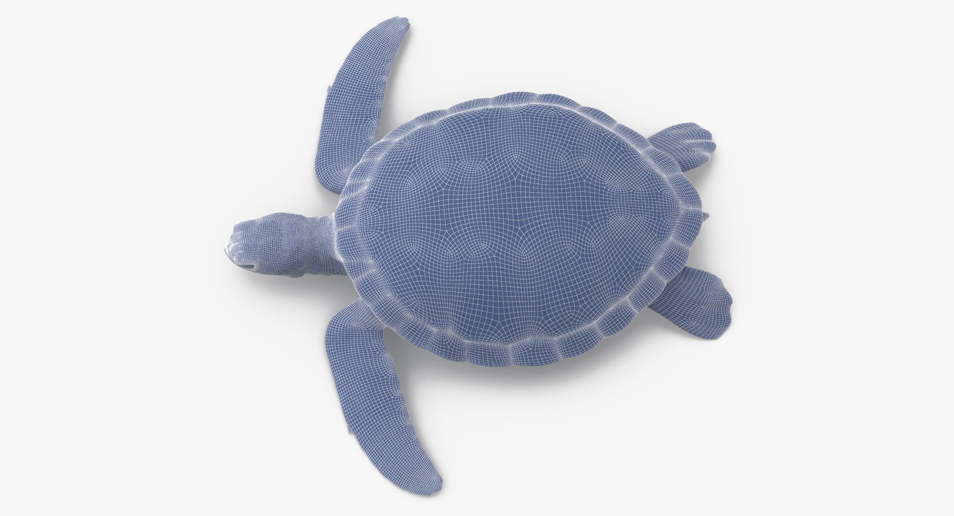 3D Model Sea Turtle Stemcell - TurboSquid 1182566