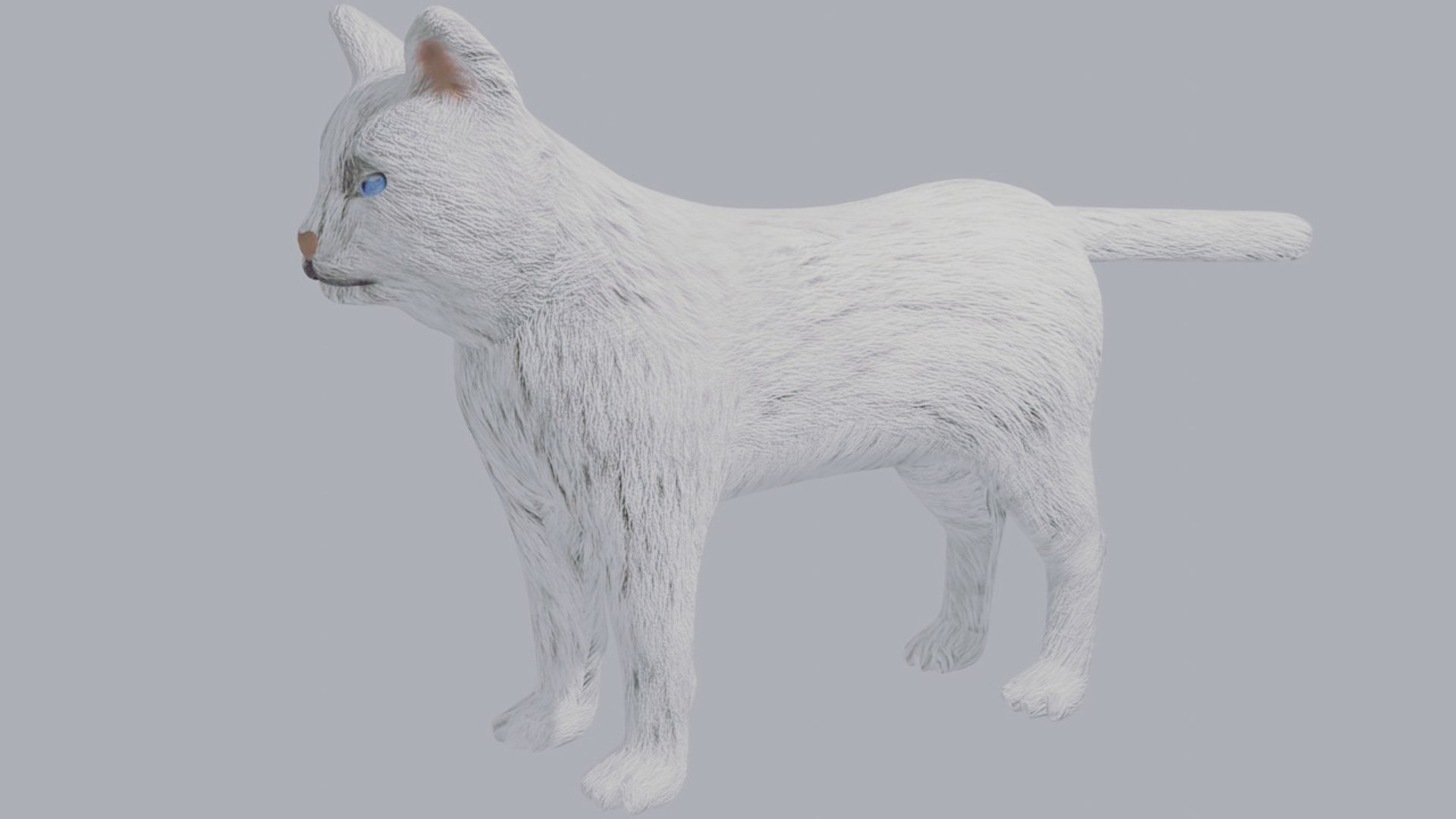 Siamese black white cat model - TurboSquid 1654637