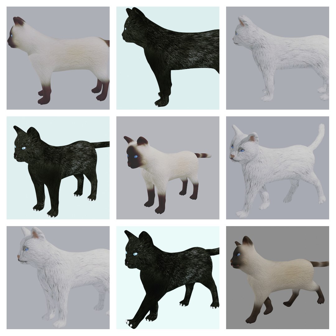 Siamese black white cat model - TurboSquid 1654637