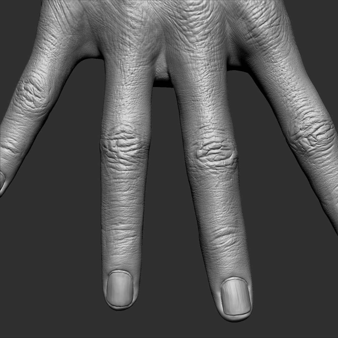 Female Hand Realistic 3D - TurboSquid 1219106