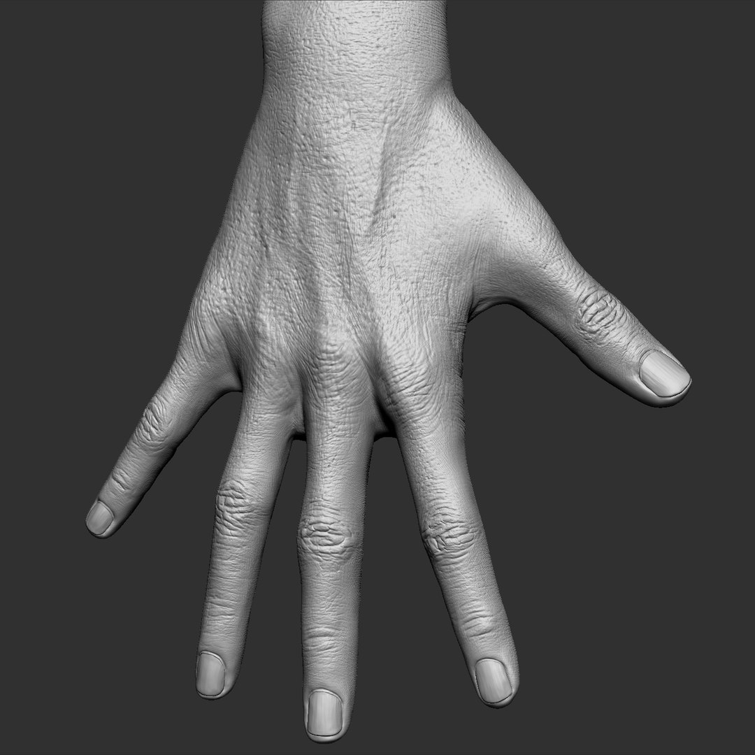 Female Hand Realistic 3D - TurboSquid 1219106