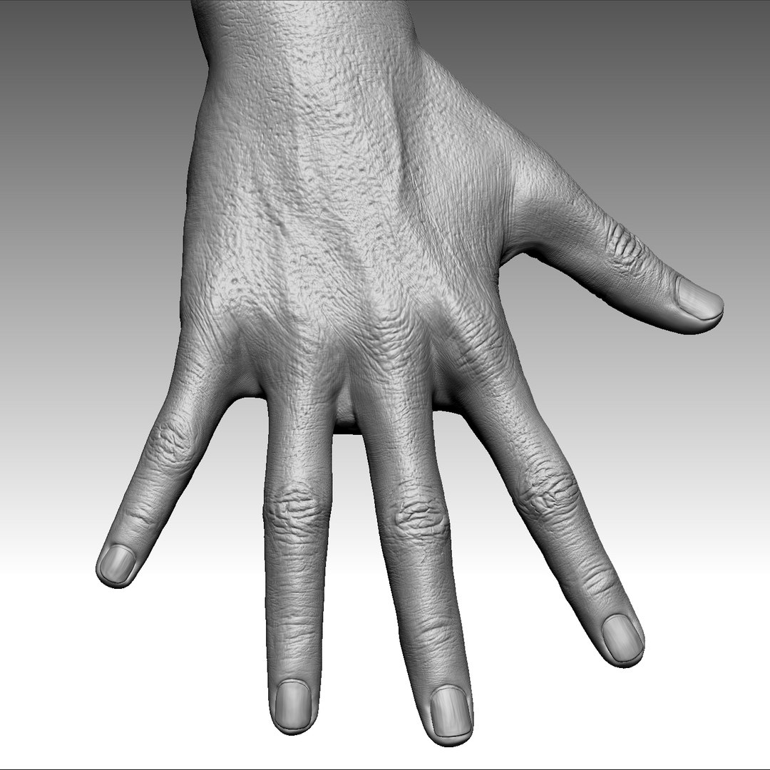 Female Hand Realistic 3D - TurboSquid 1219106