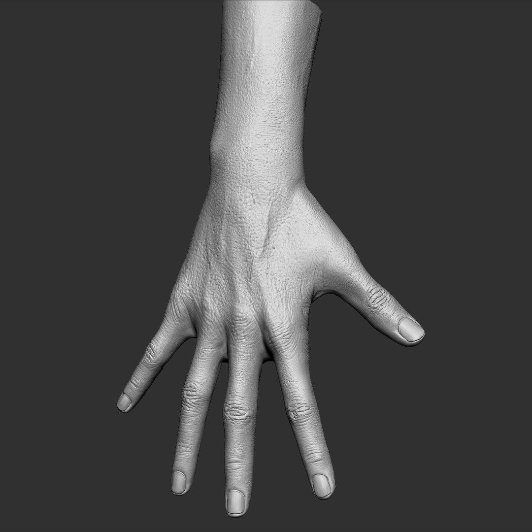 Female Hand Realistic 3D - TurboSquid 1219106
