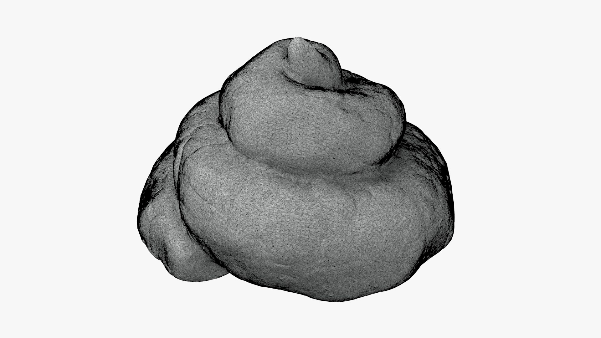 Poop 5 For 3D Print Model - TurboSquid 2349501