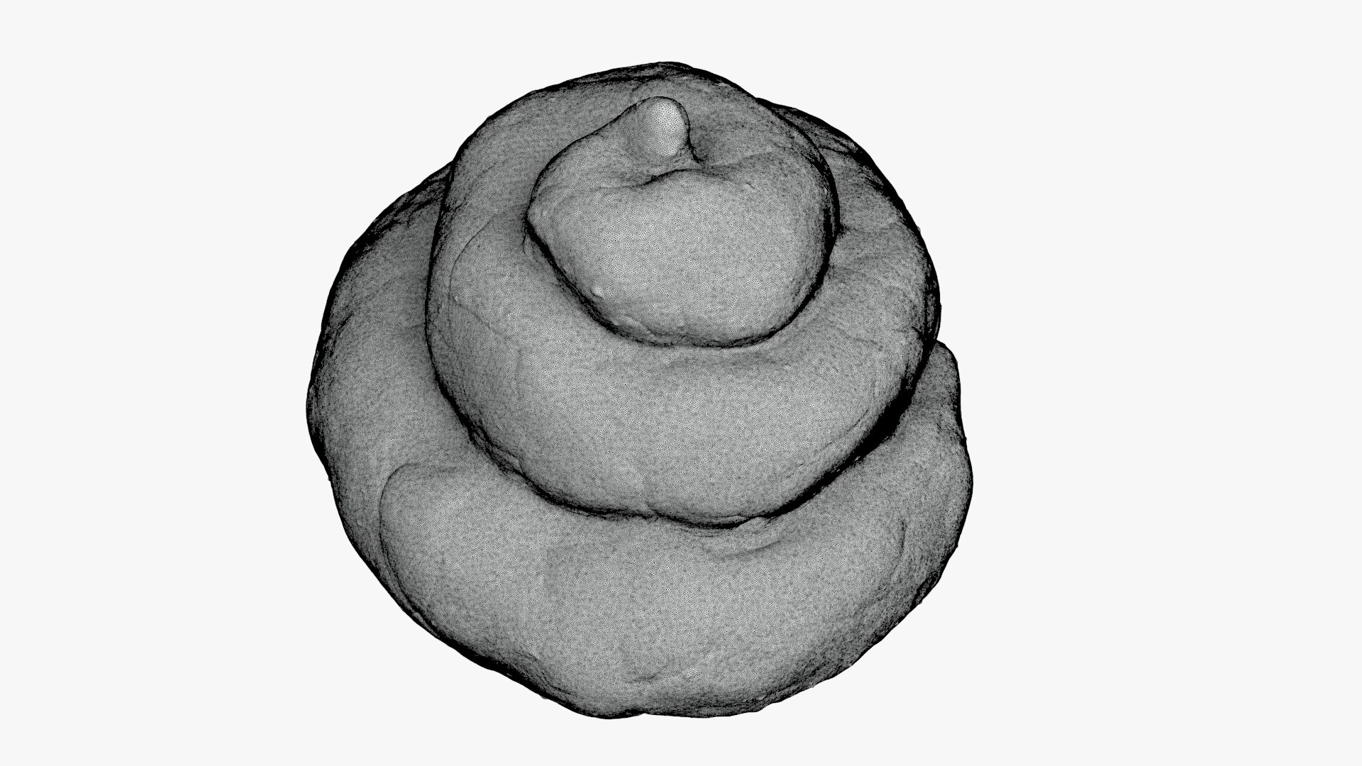 Poop 5 For 3D Print Model - TurboSquid 2349501