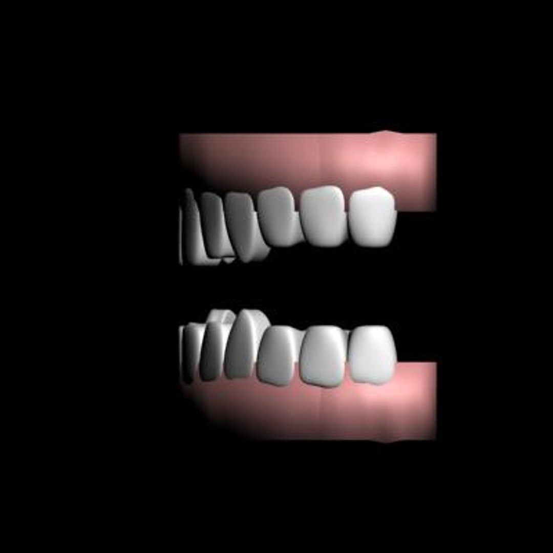 Free Teeth 3d Model