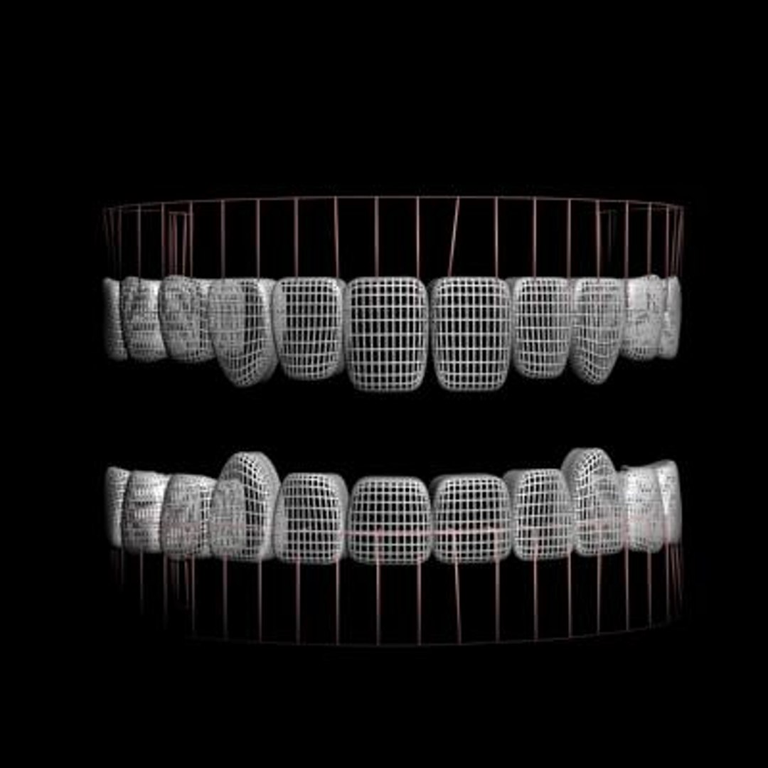 Free Teeth 3d Model