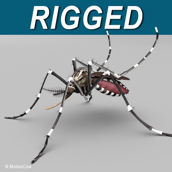 mosquito rigged animate 3d model