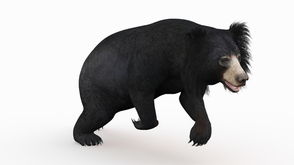 3D bear rigged sloth model - TurboSquid 1637002