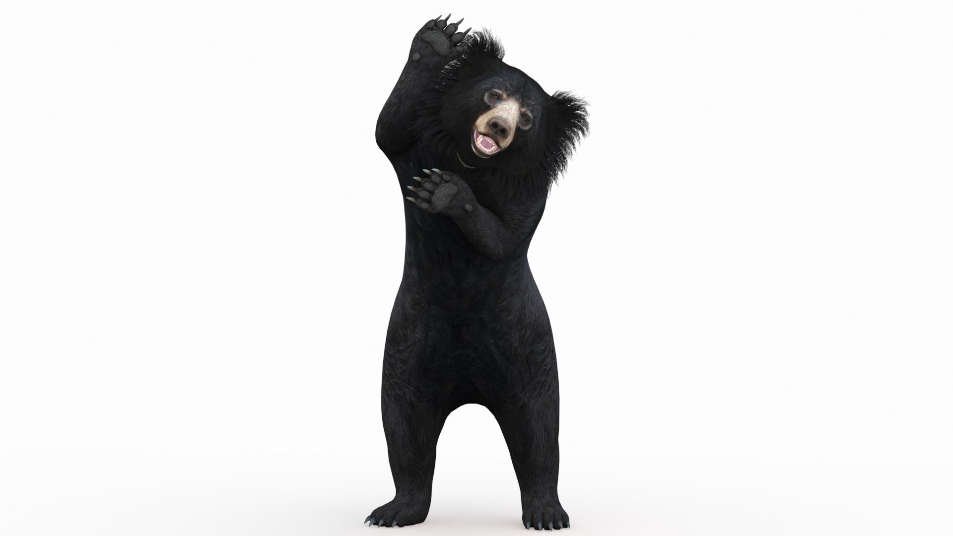 3D Bear Rigged Sloth Model - TurboSquid 1637002