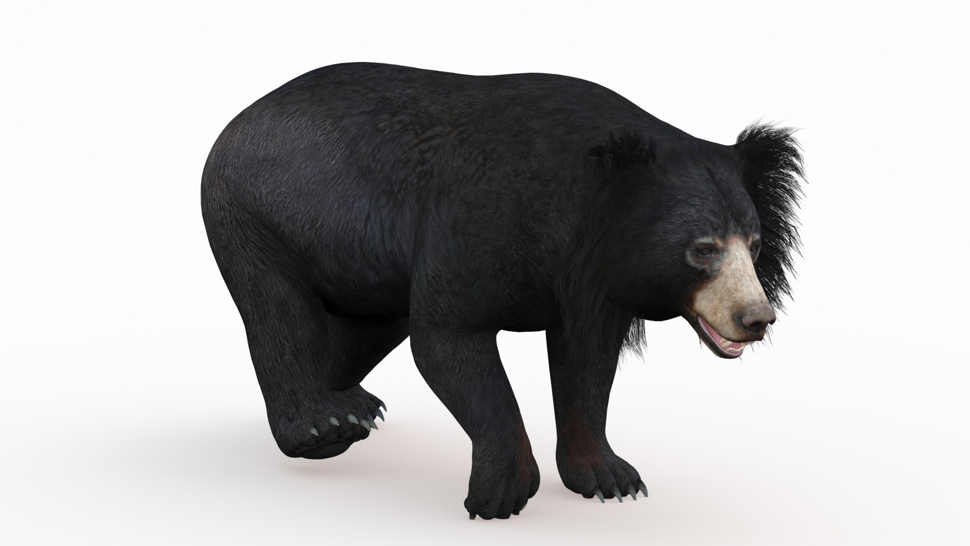 3D Bear Rigged Sloth Model - TurboSquid 1637002