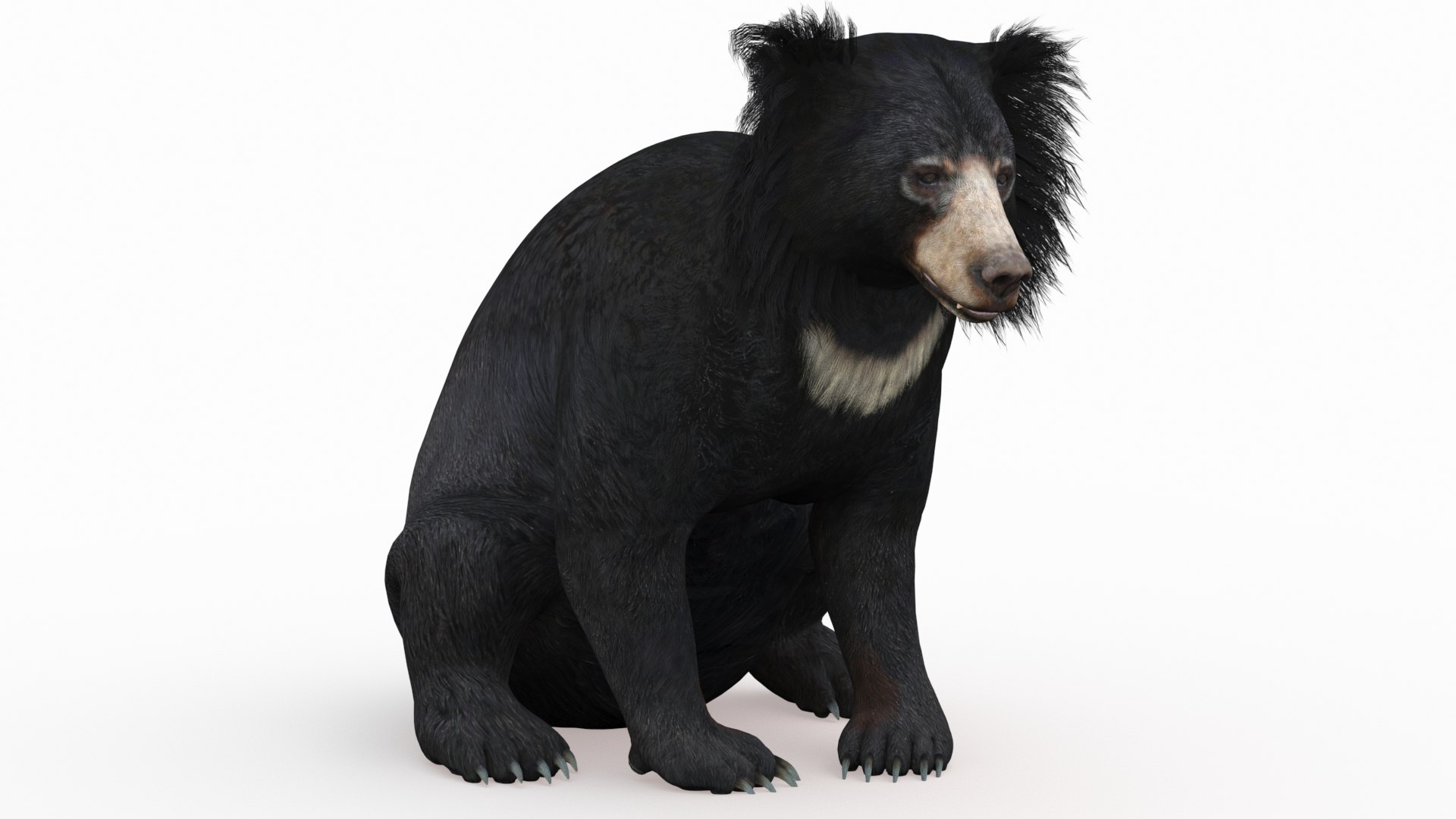 3D Bear Rigged Sloth Model - TurboSquid 1637002